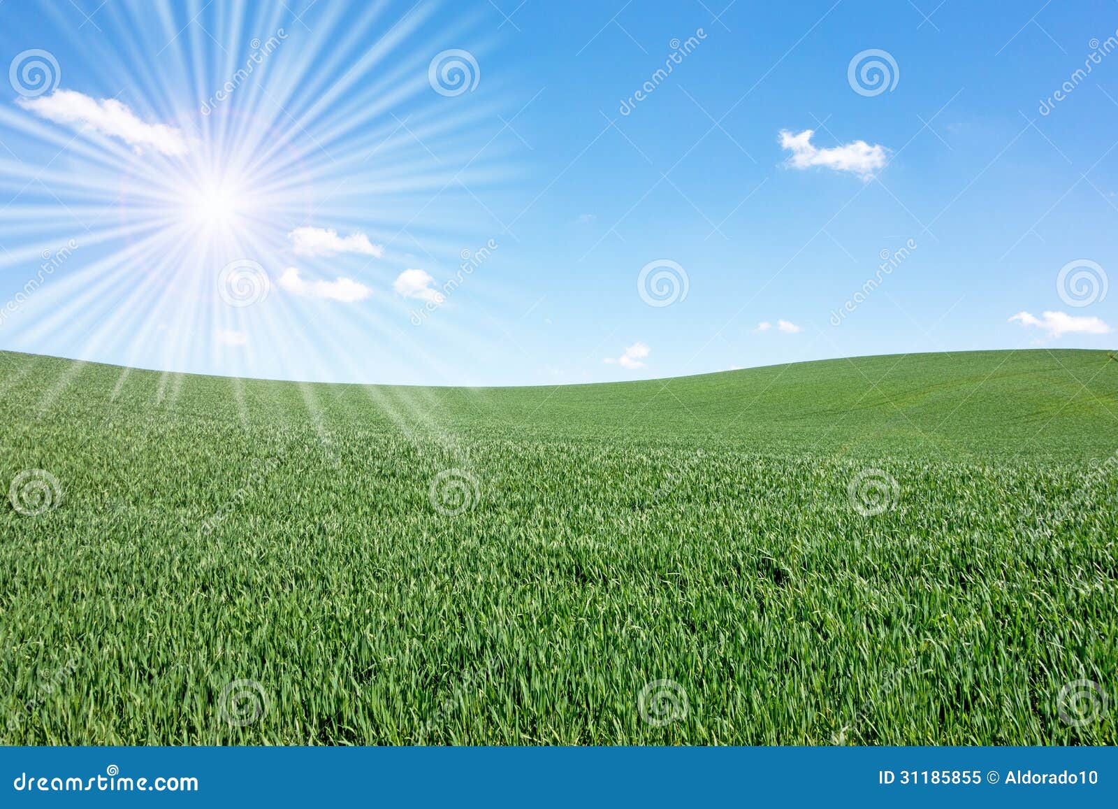 Sun over field stock image. Image of colorful, hill, clear - 31185855