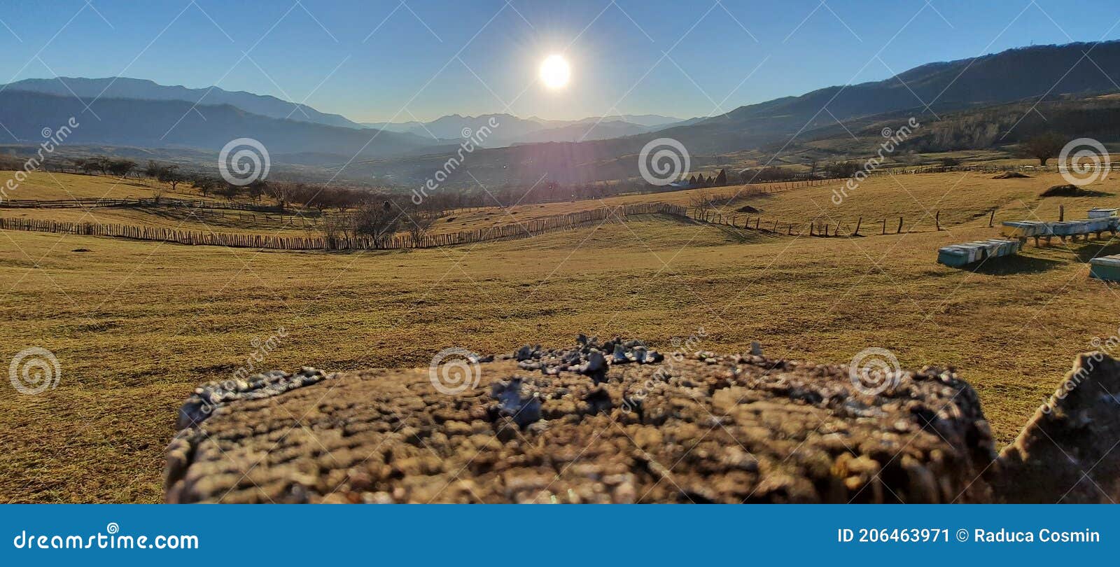 Sun over the fields stock image. Image of dawn, rural - 206463971