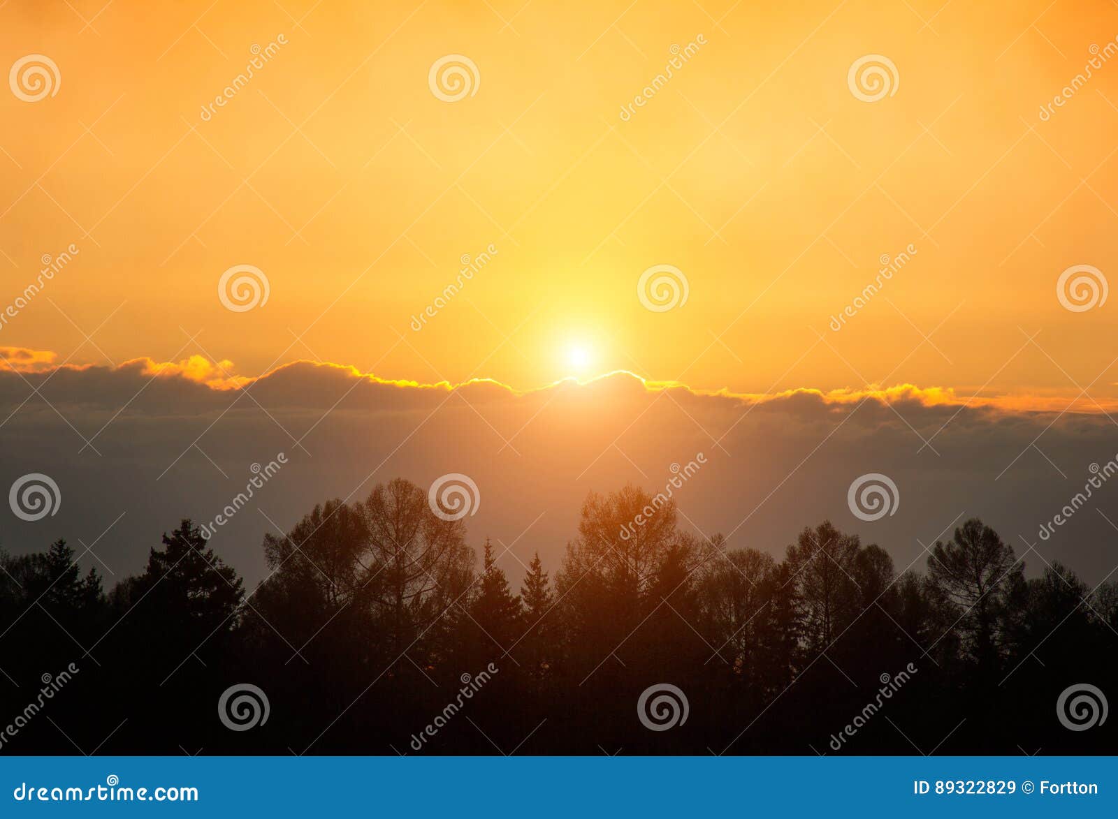 Sun Over the Forest. Sunset Over the Forest Stock Image - Image of ...