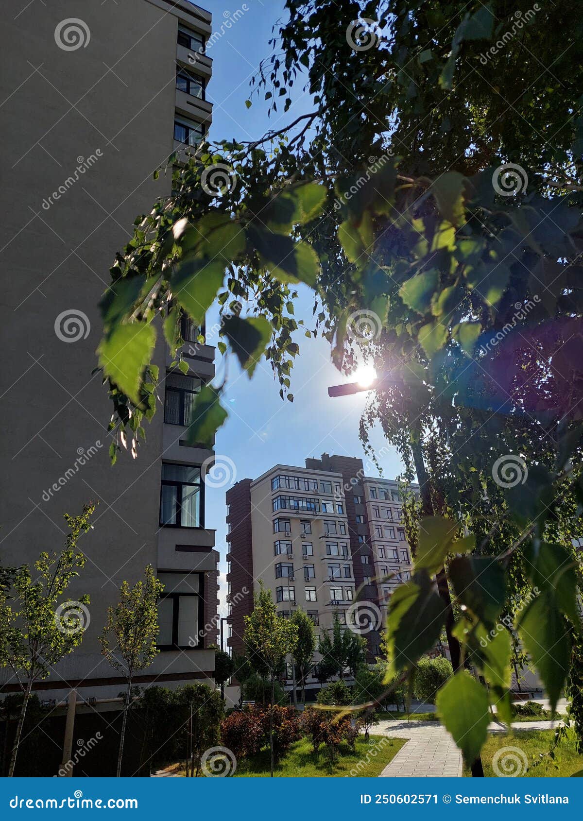 The Sun Over the House Behind the Trees Stock Image - Image of leaf ...