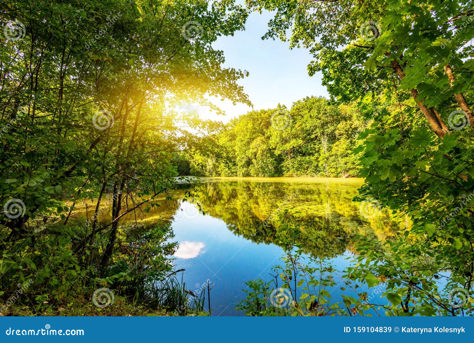 Sun over lake in forest stock image. Image of evening - 159104839