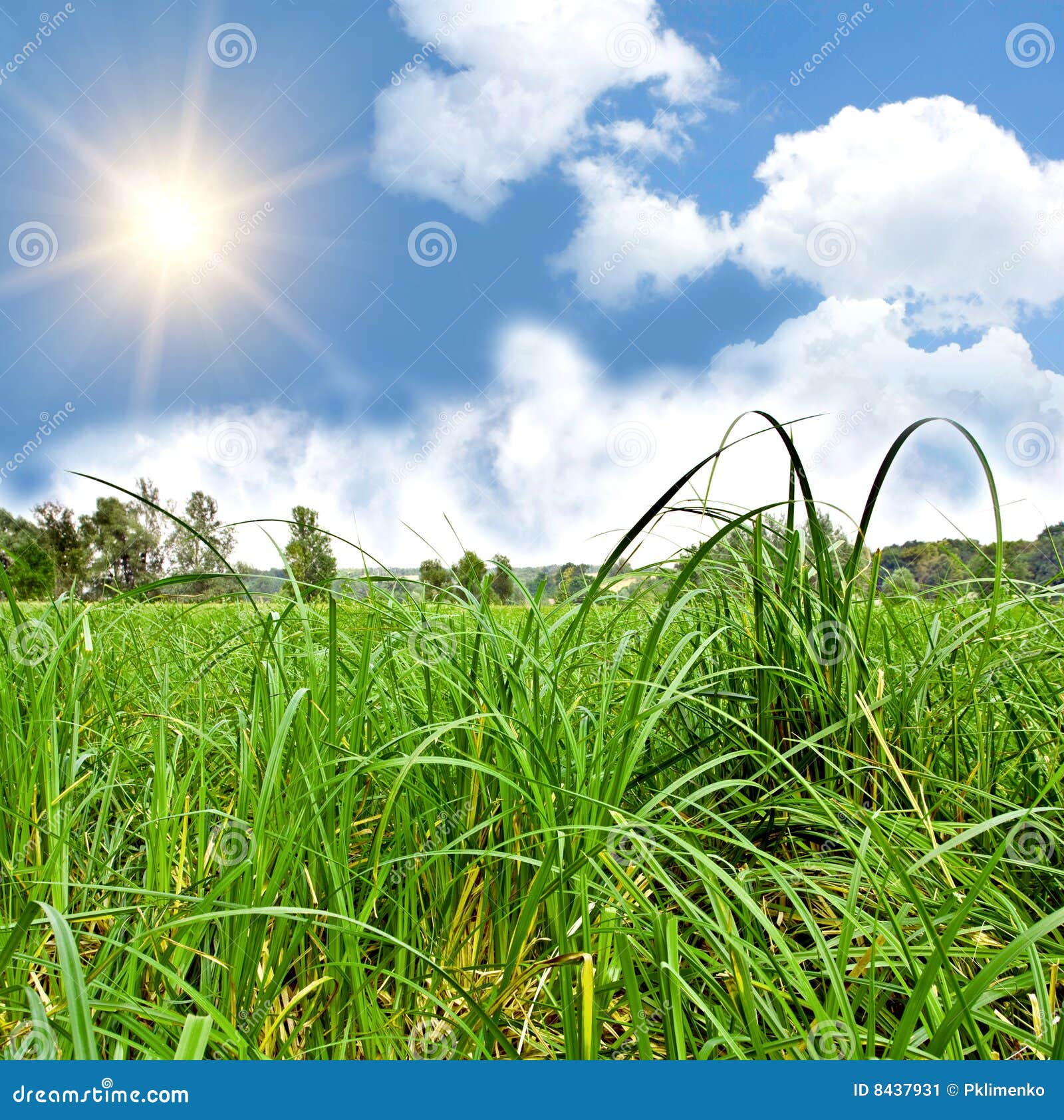 Sun over meadow stock image. Image of outdoor, green, clouds - 8437931