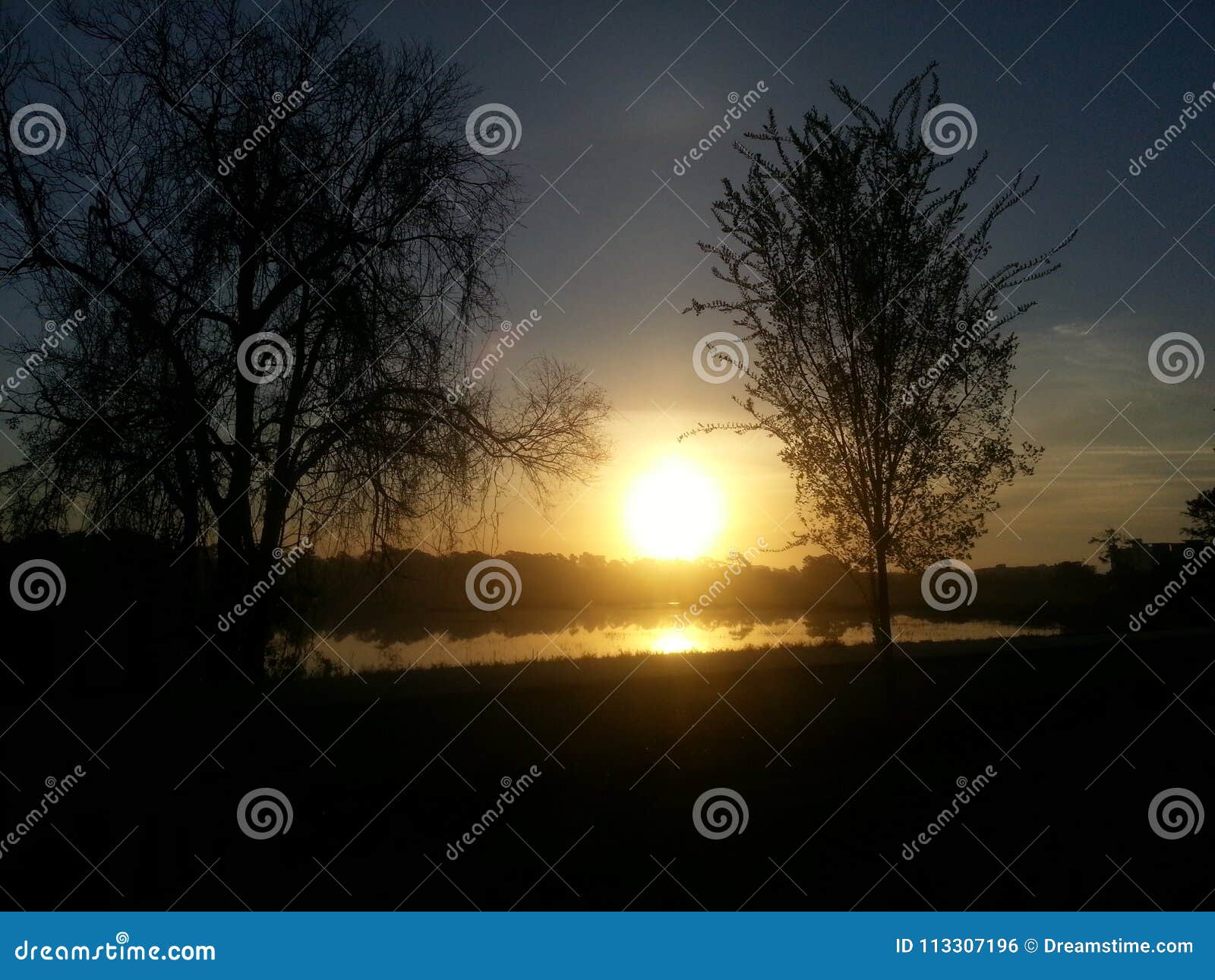 Sun Over Pond Framed between Two Trees Stock Photo - Image of sunrise ...