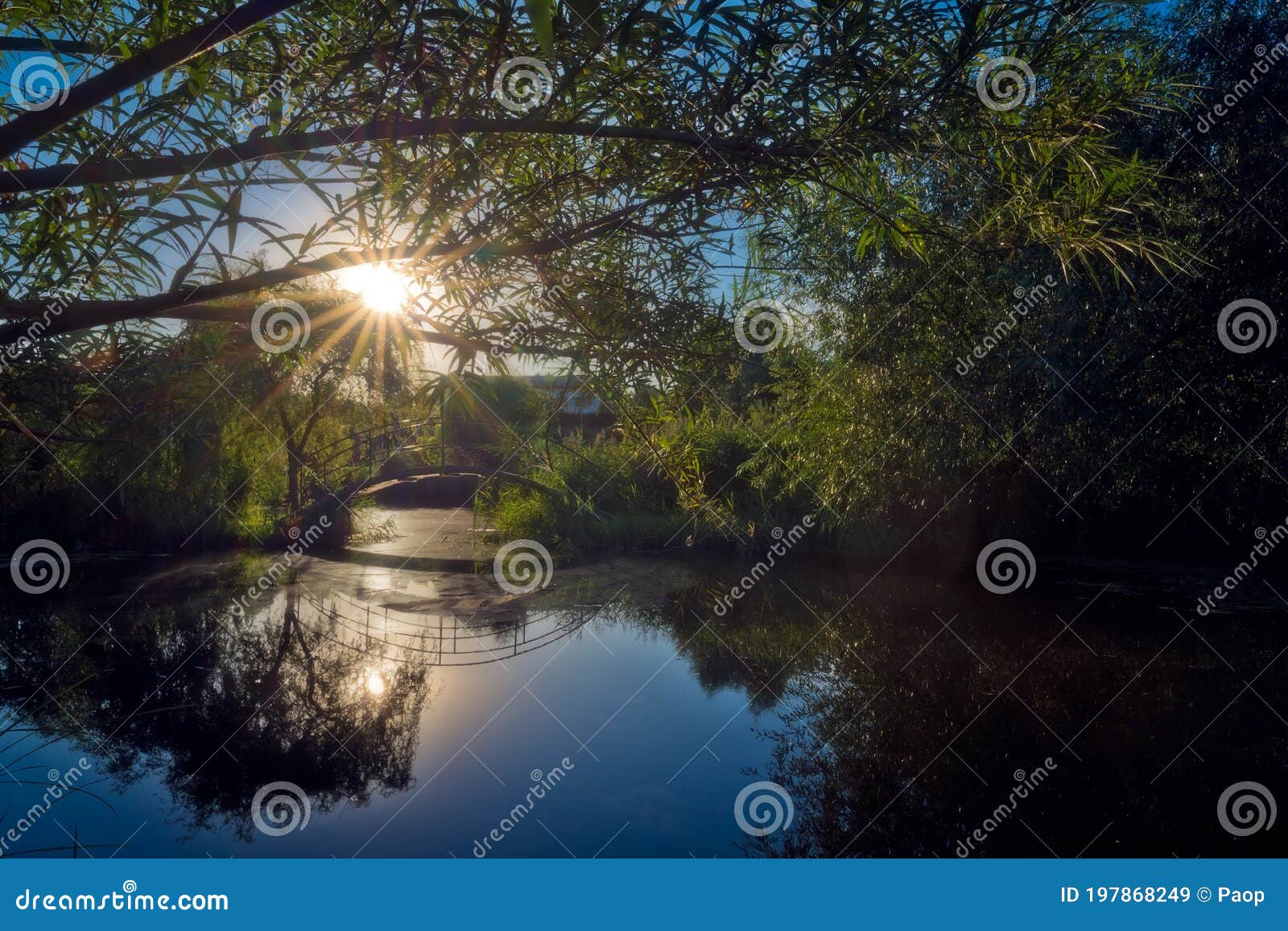 Sun Over Small Arched Bridge Stock Image - Image of beauty, leaf: 197868249