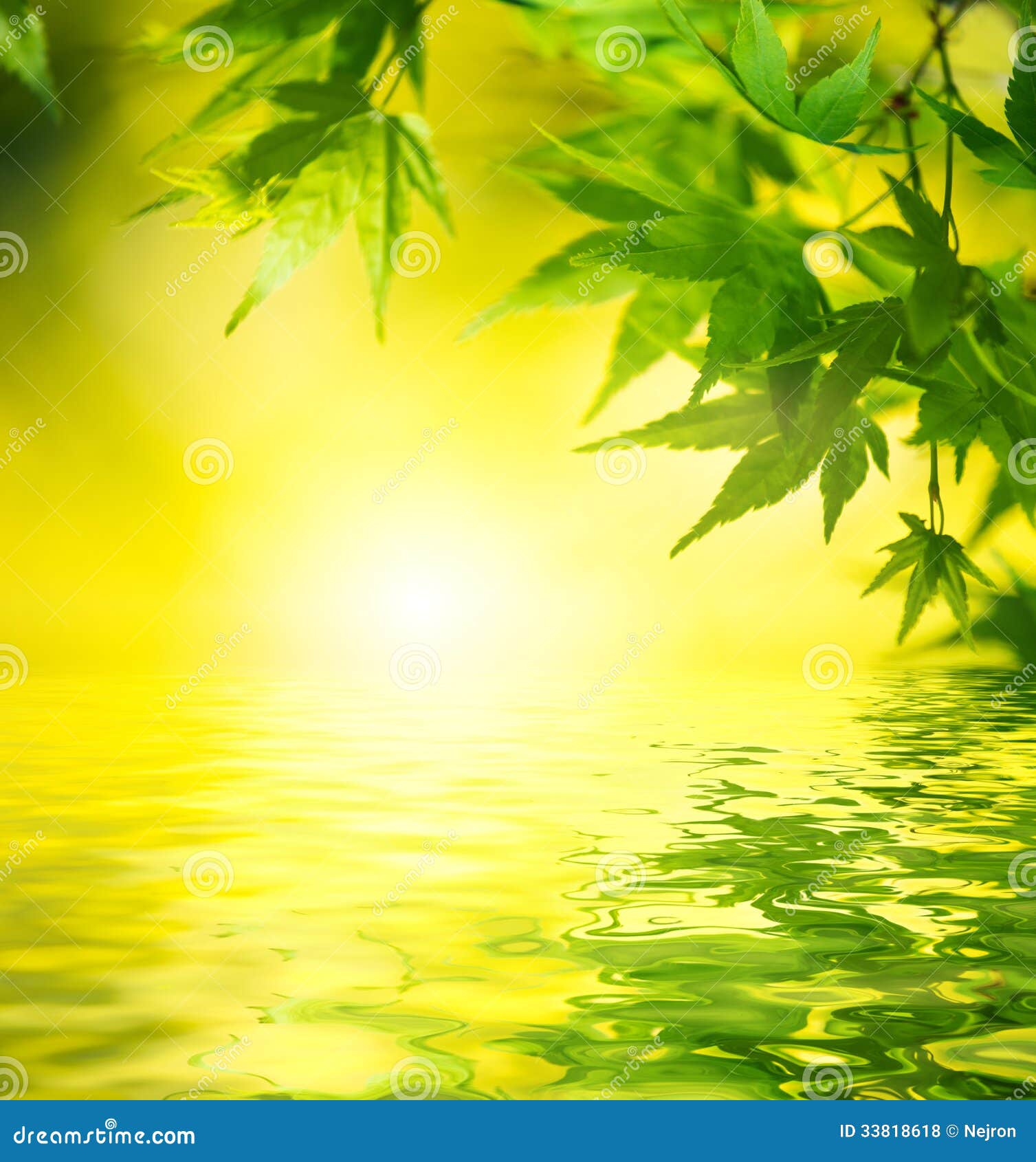 Sun over water stock photo. Image of glow, flare, purity - 33818618