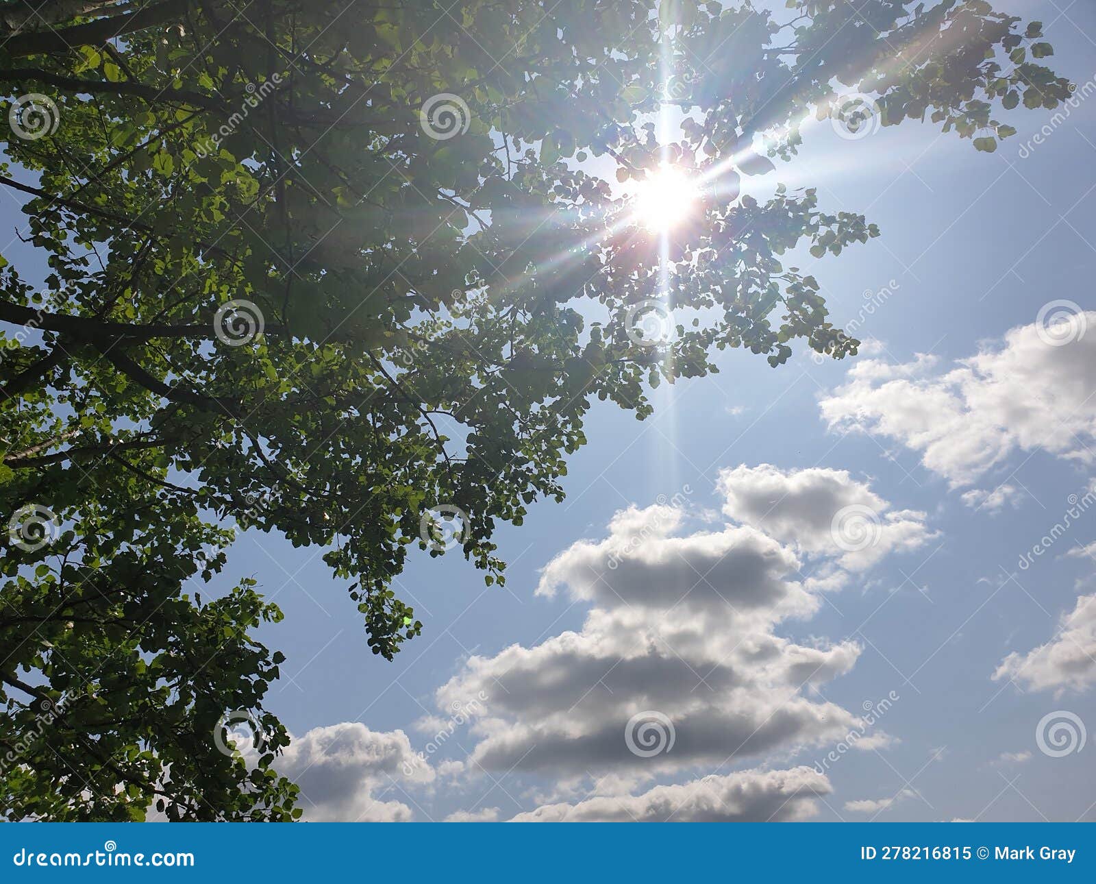 The Sun and the Clouds Show Off Stock Image - Image of show, light ...