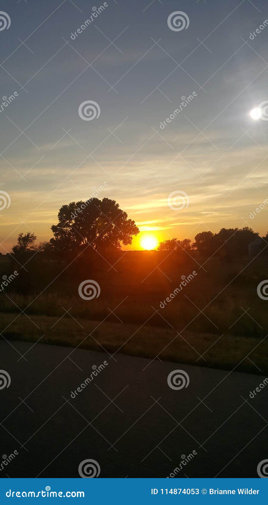 Sun peeking through stock image. Image of peeking, nature - 114874053