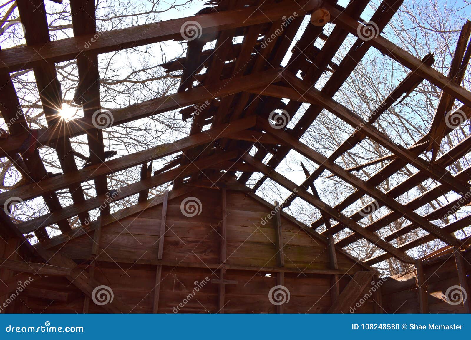 Rusted Timber Trees Stock Photos - Free & Royalty-Free Stock Photos ...