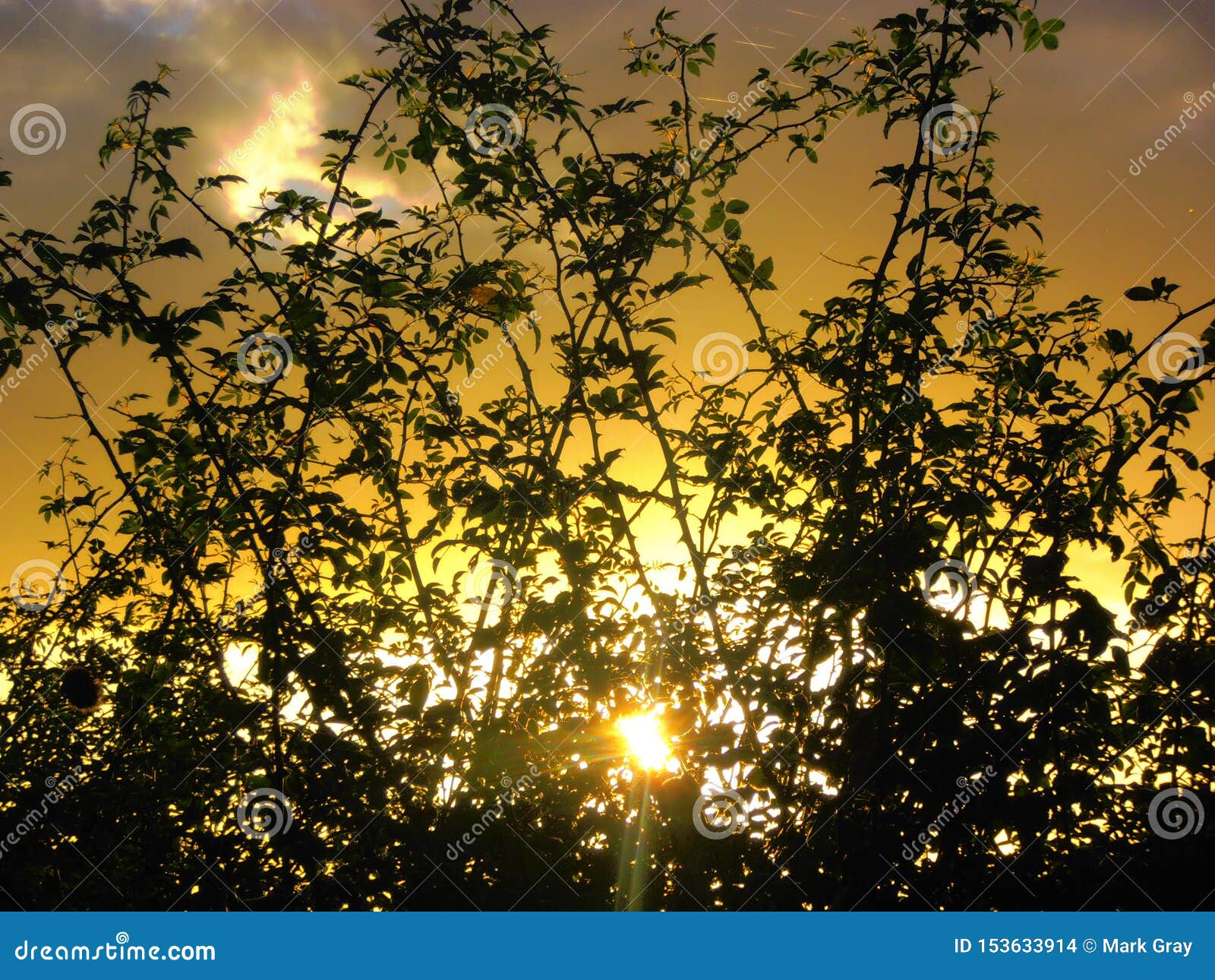 Glimpses of Light stock photo. Image of glimpses, sunset - 153633914