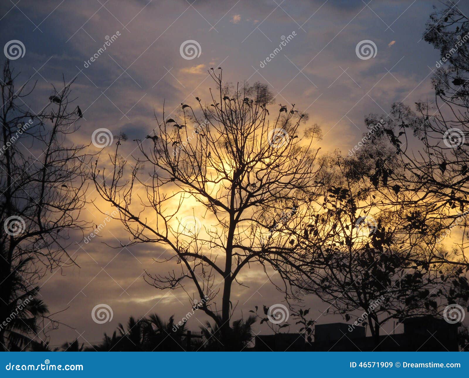 Sun raise stock image. Image of fireinthesky, earlymorning - 46571909