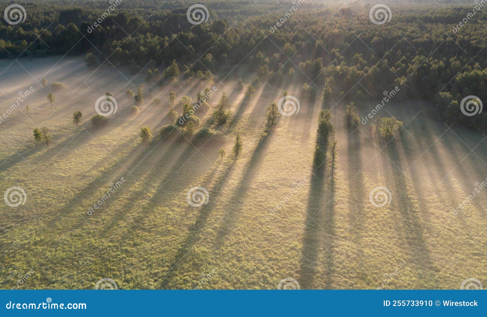 Sun Raise Over the Trees Reflection Shadows on the Meadows Stock Photo ...