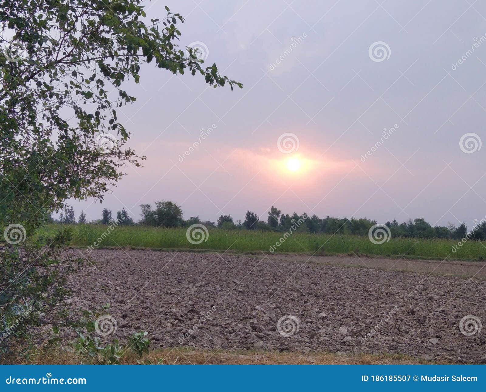 Sun Raising Scene with Beauty of Nature Stock Image - Image of cool ...