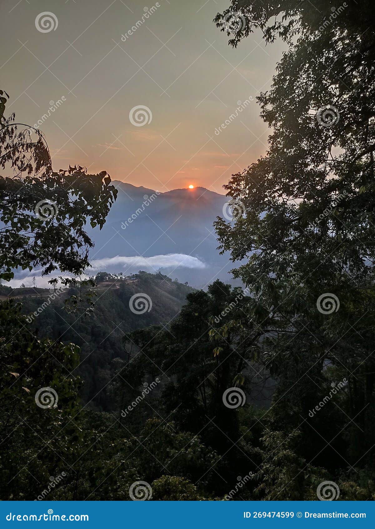 Sun raising and sunset stock image. Image of tree, autumn - 269474599