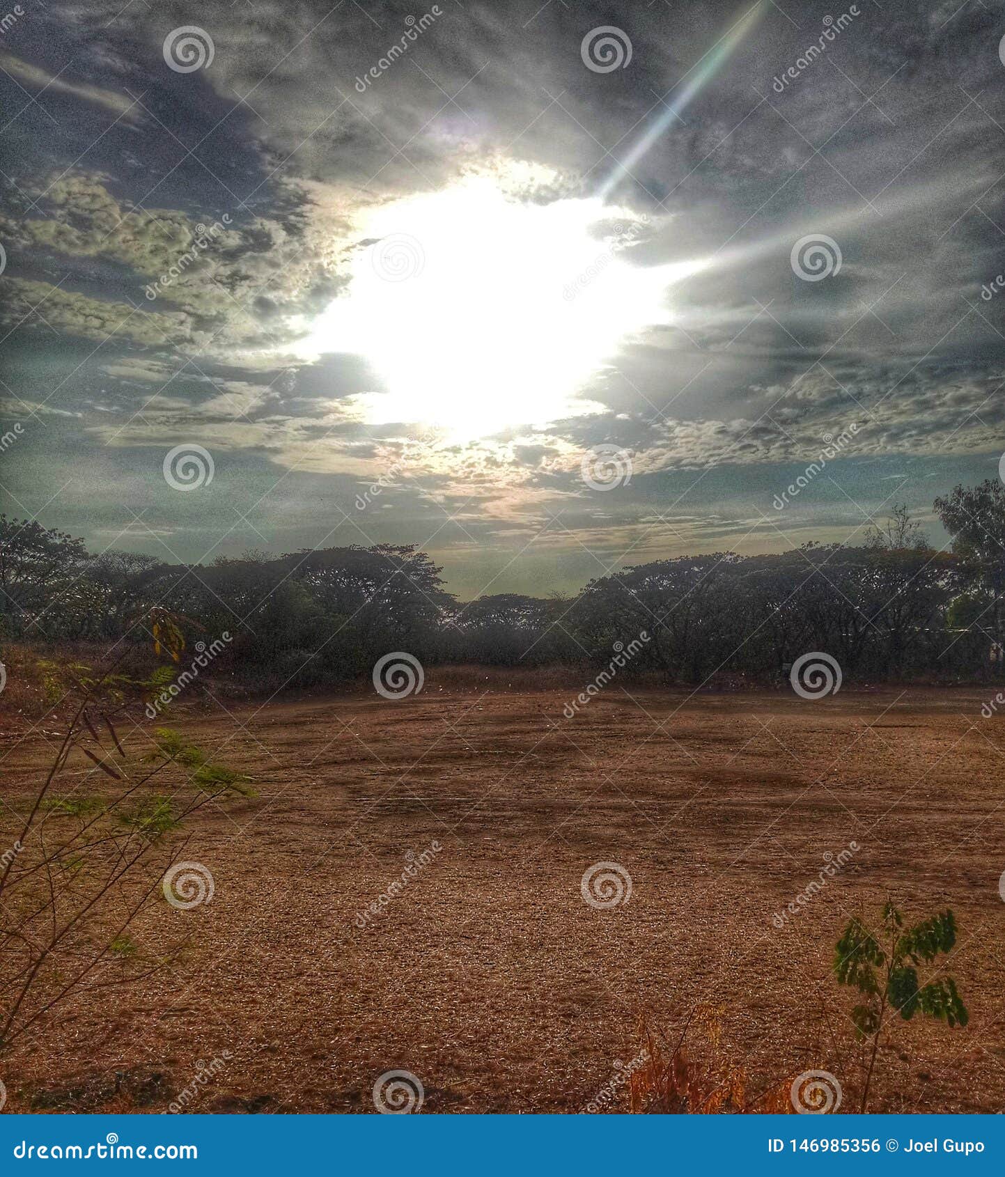 Sun ray and field stock photo. Image of brown, outside - 146985356