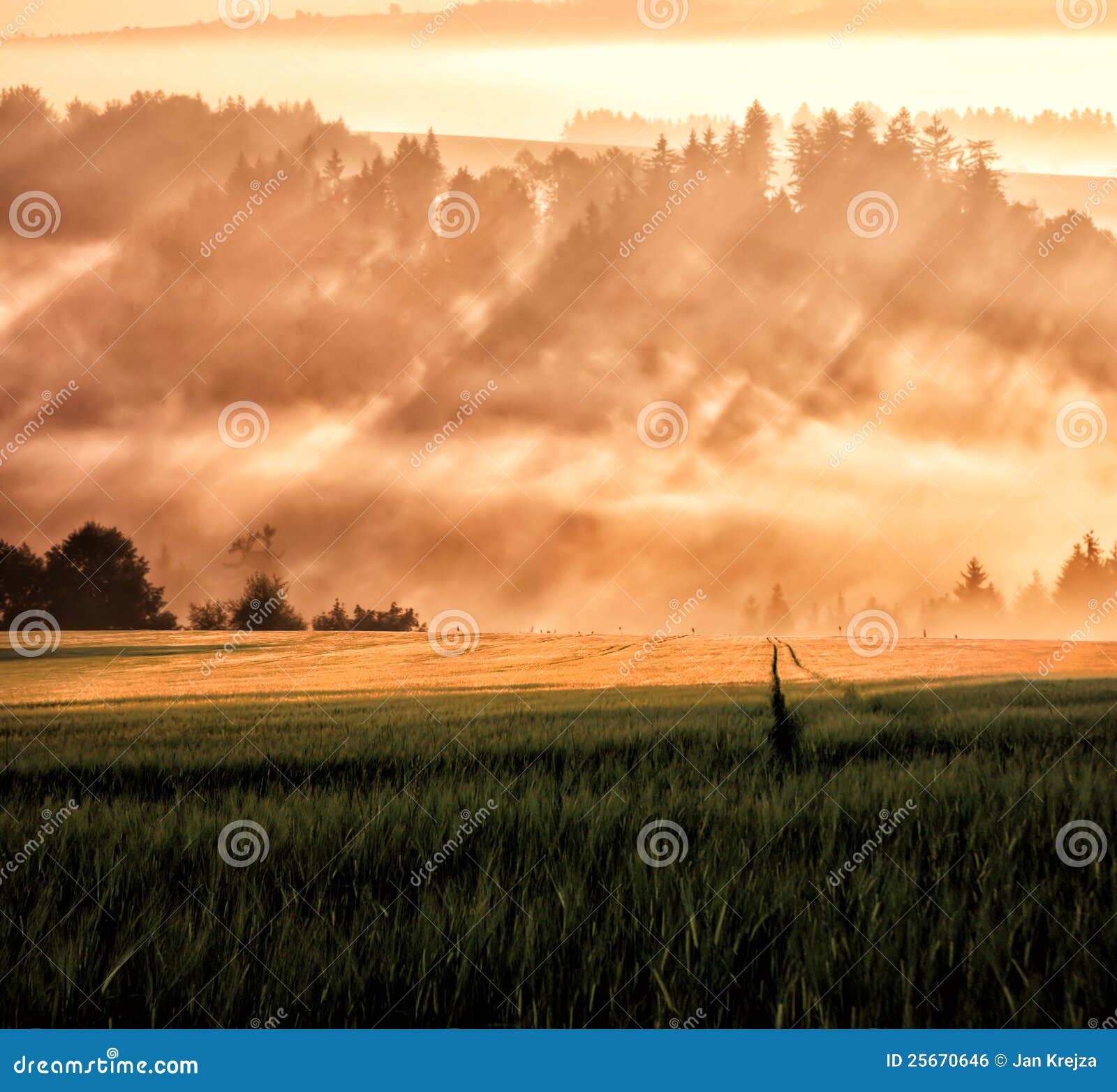 Sun ray and field way stock photo. Image of field, daylight - 25670646