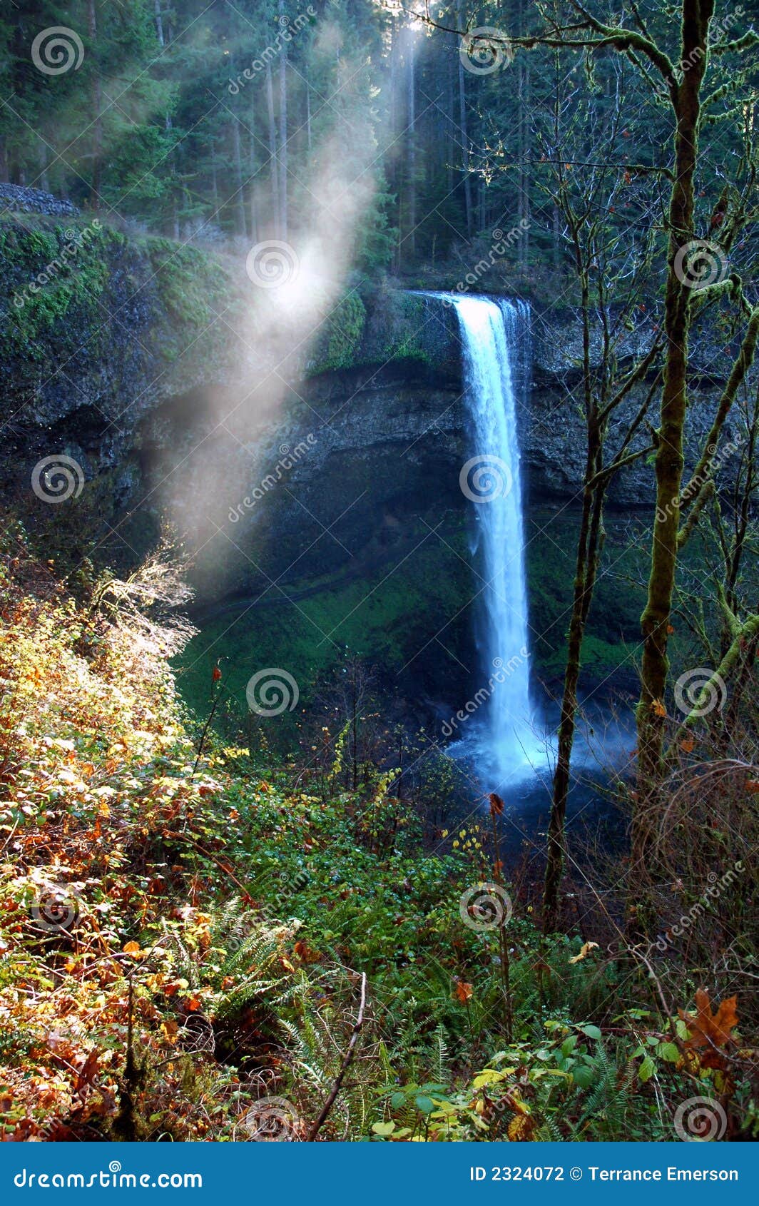 Sun Ray at Silver Falls stock photo. Image of pacific - 2324072