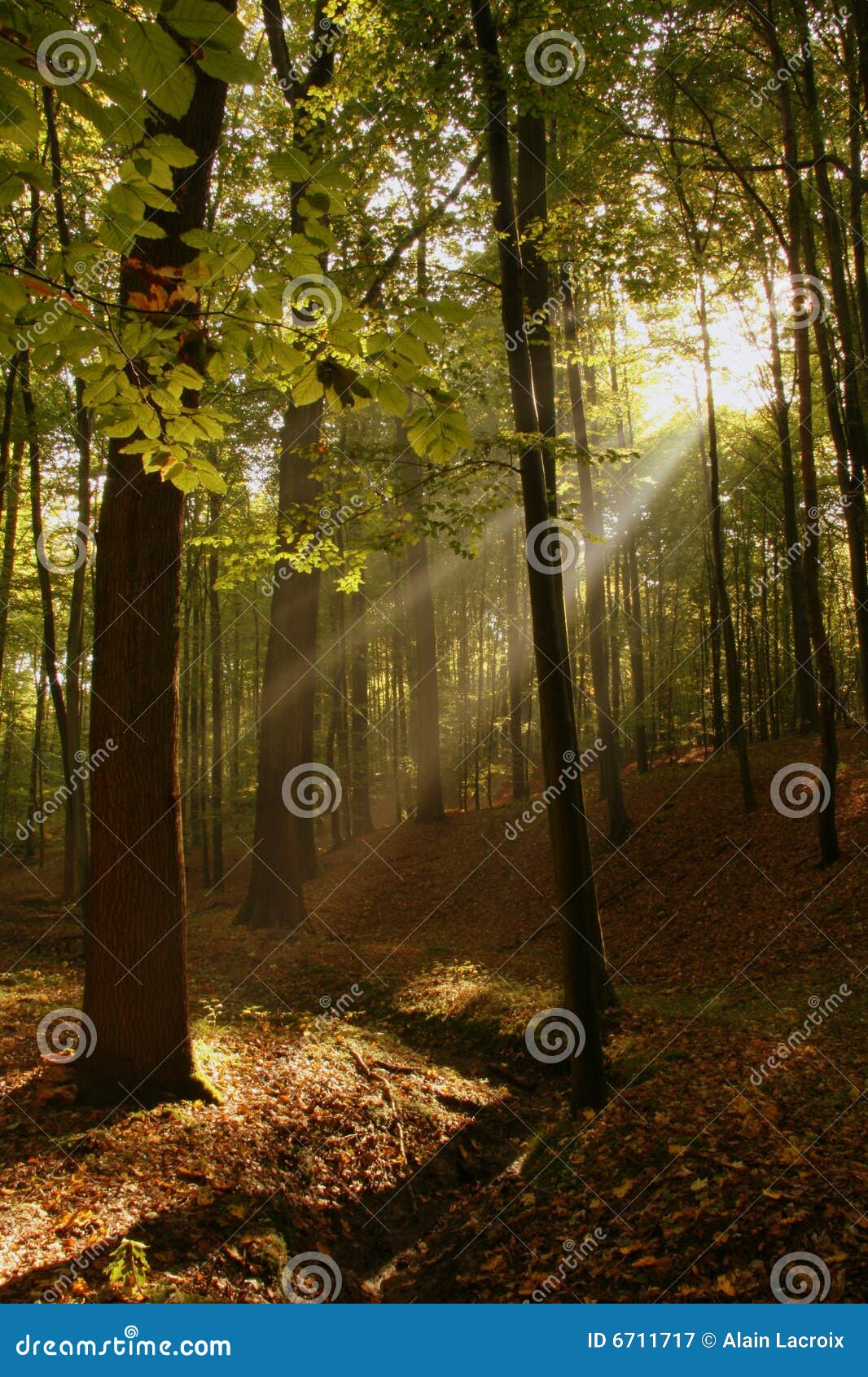 Subtle Beams Stock Photos - Free & Royalty-Free Stock Photos from ...
