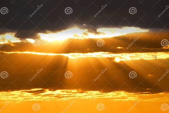 Sun rays stock image. Image of hope, holy, radiant, heaven - 2117865