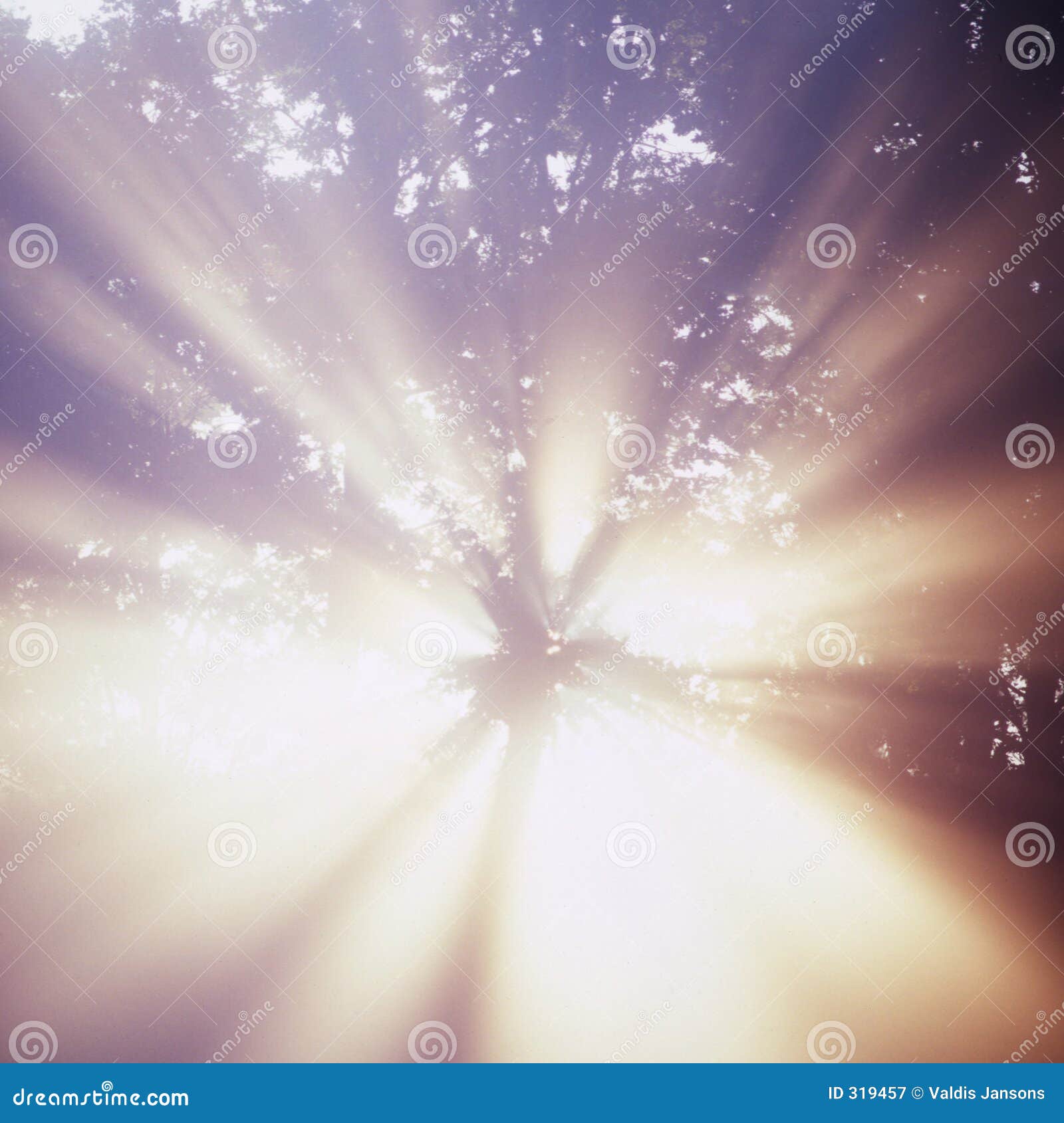 Sun rays stock image. Image of mist, dusk, shine, sunrise - 319457