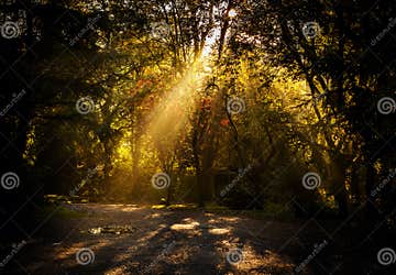 Sun rays beam stock image. Image of sunlight, colours - 38860169