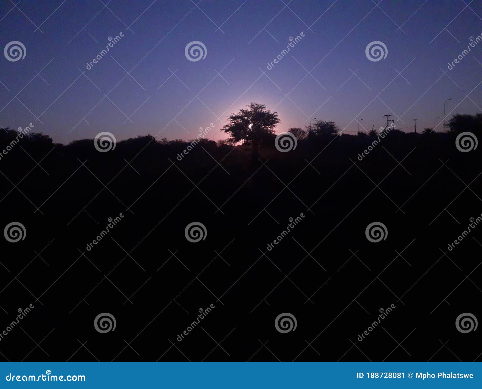 Sun Rays Behind a Tree at a Far Distance Stock Image - Image of ...