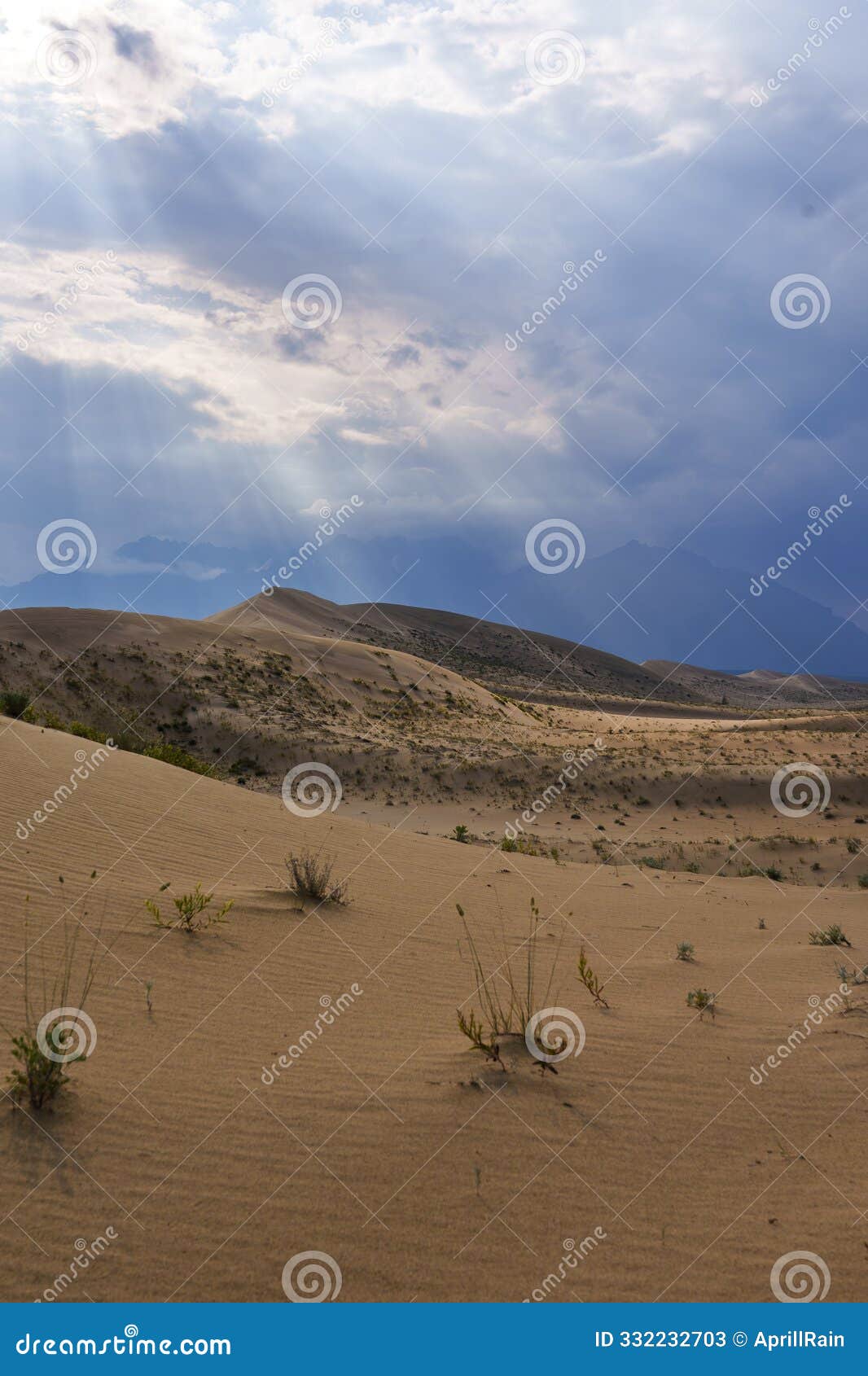 Sun Rays Breaking through Clouds Over Desert Dunes Stock Image - Image ...