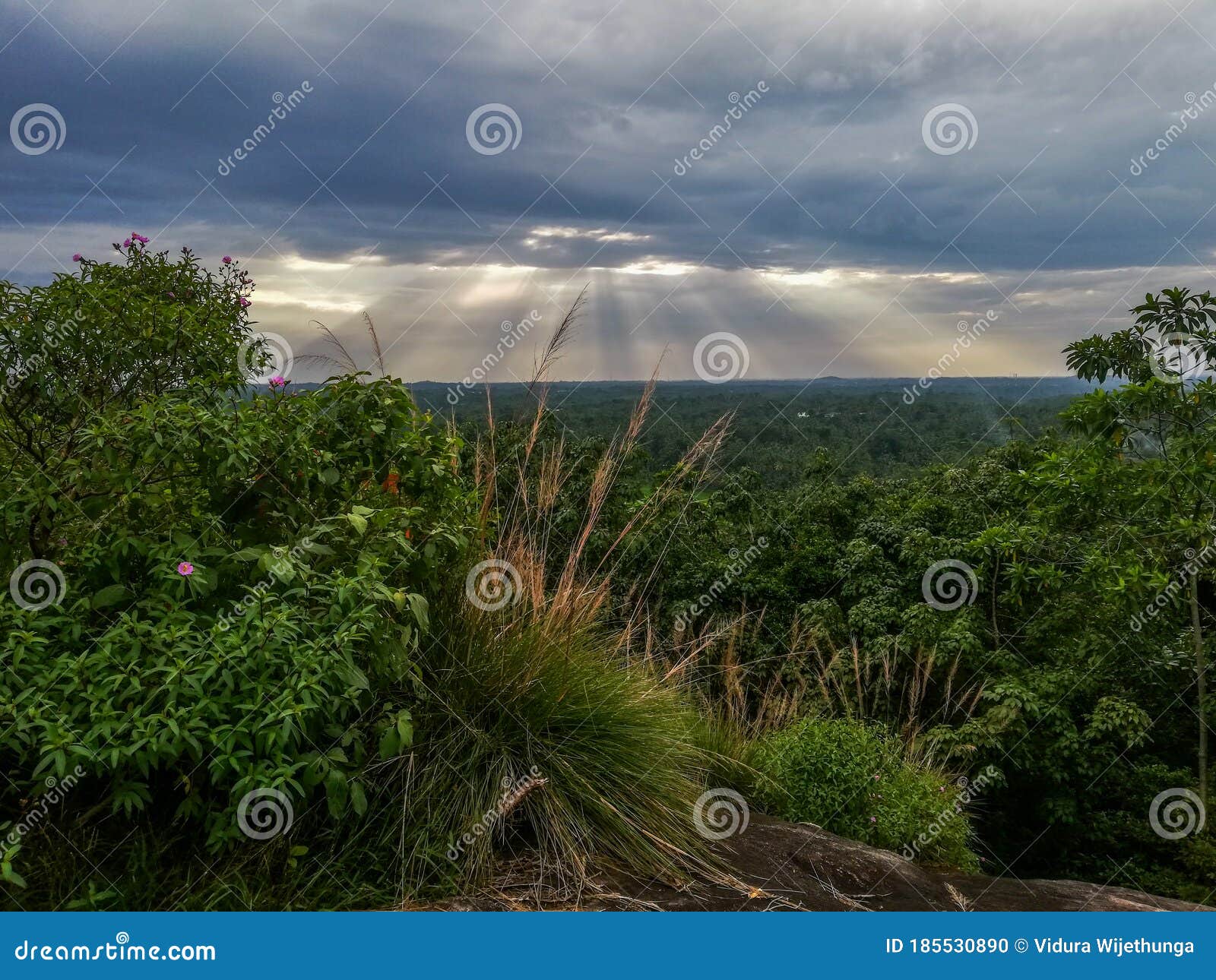 Sun rays through clouds stock photo. Image of rock, rays - 185530890