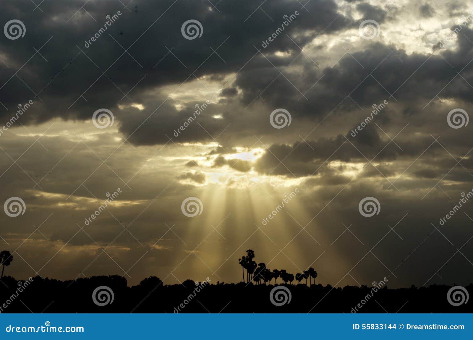 Sun rays stock photo. Image of summer, landscape, orangesun - 55833144