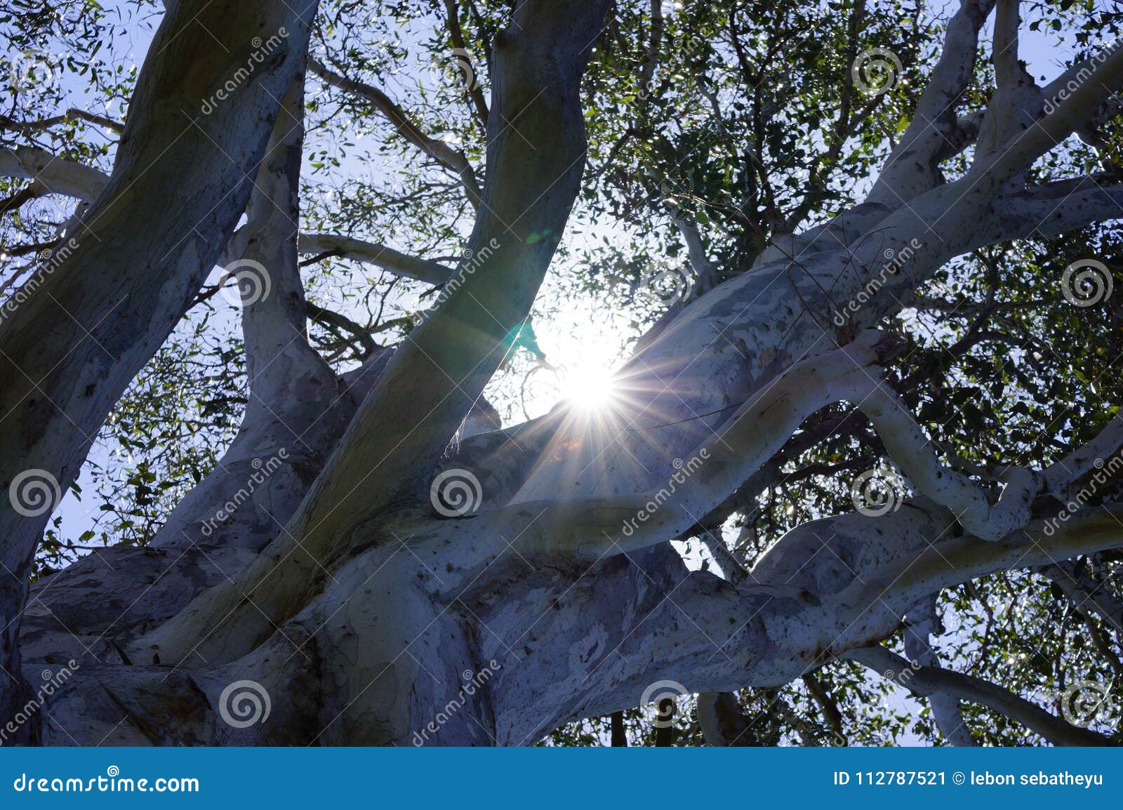 Sun looking down stock image. Image of rays, coming - 112787521