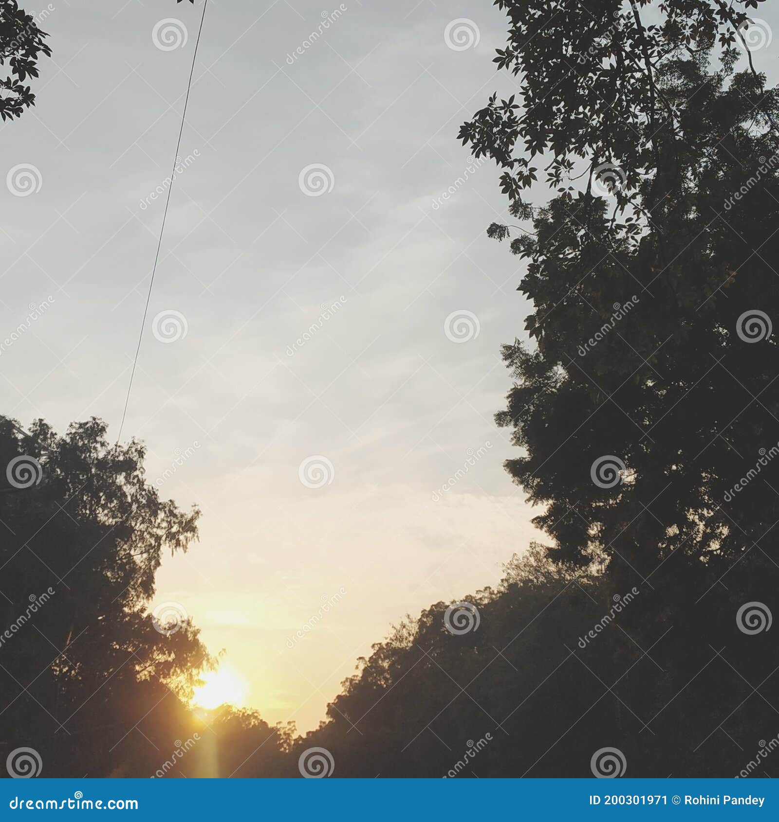 Sun rays in evening stock image. Image of morning, tree - 200301971