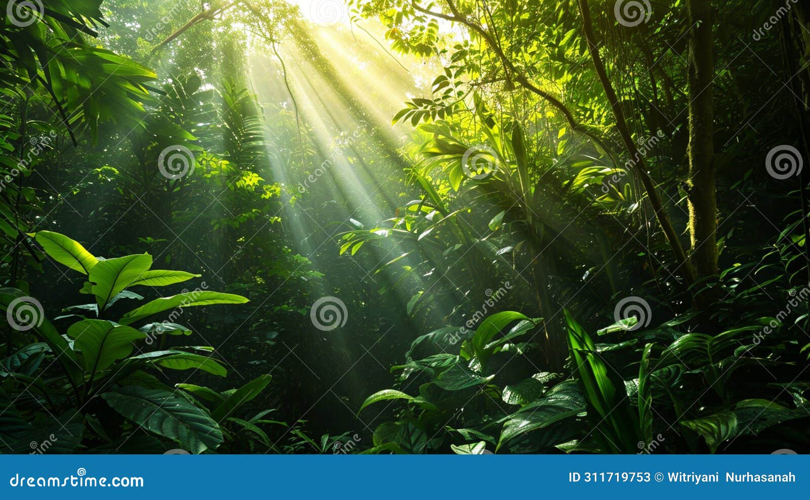 Sun Rays Falling Deep into a Thick Jungle . Generative Ai Stock ...