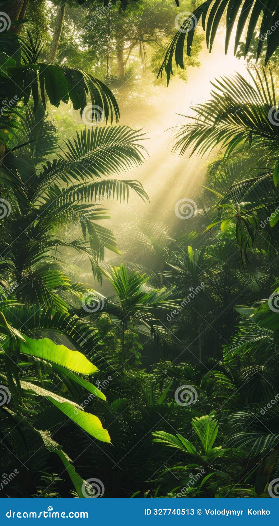 Sun Rays Filtering through Dense Tropical Rainforest Stock Image ...