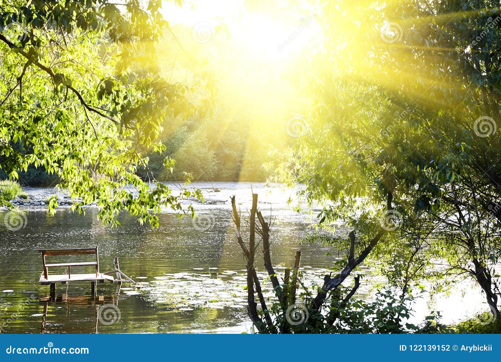 Sun rays and green tree stock photo. Image of park, natural - 122139152