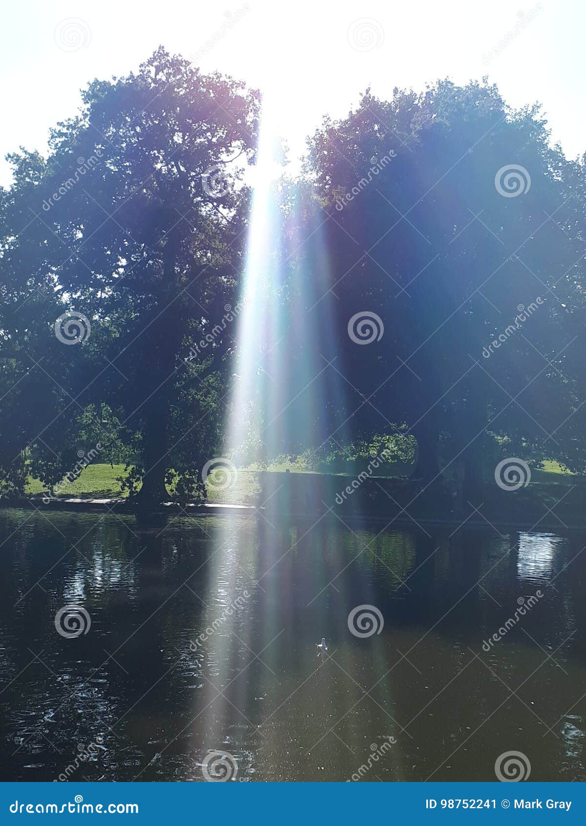 Sun Rays at the Lake stock image. Image of rays, trees - 98752241