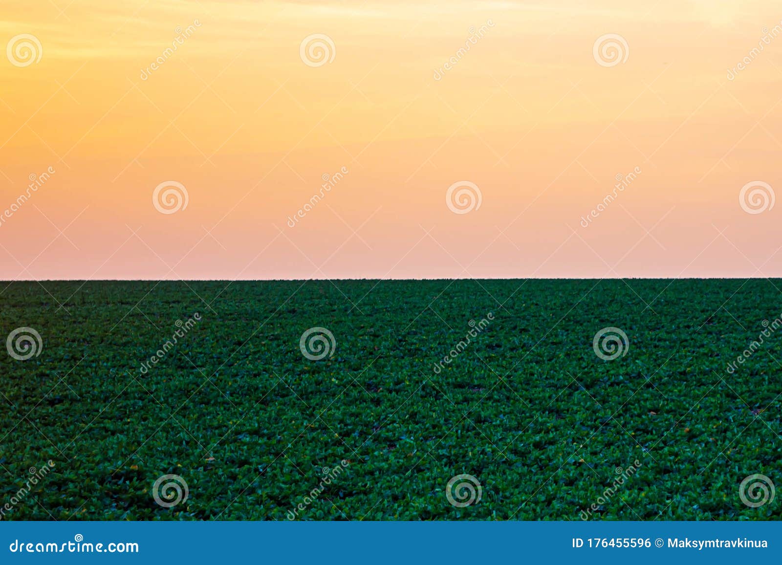 Sun rays over field stock photo. Image of environment - 176455596