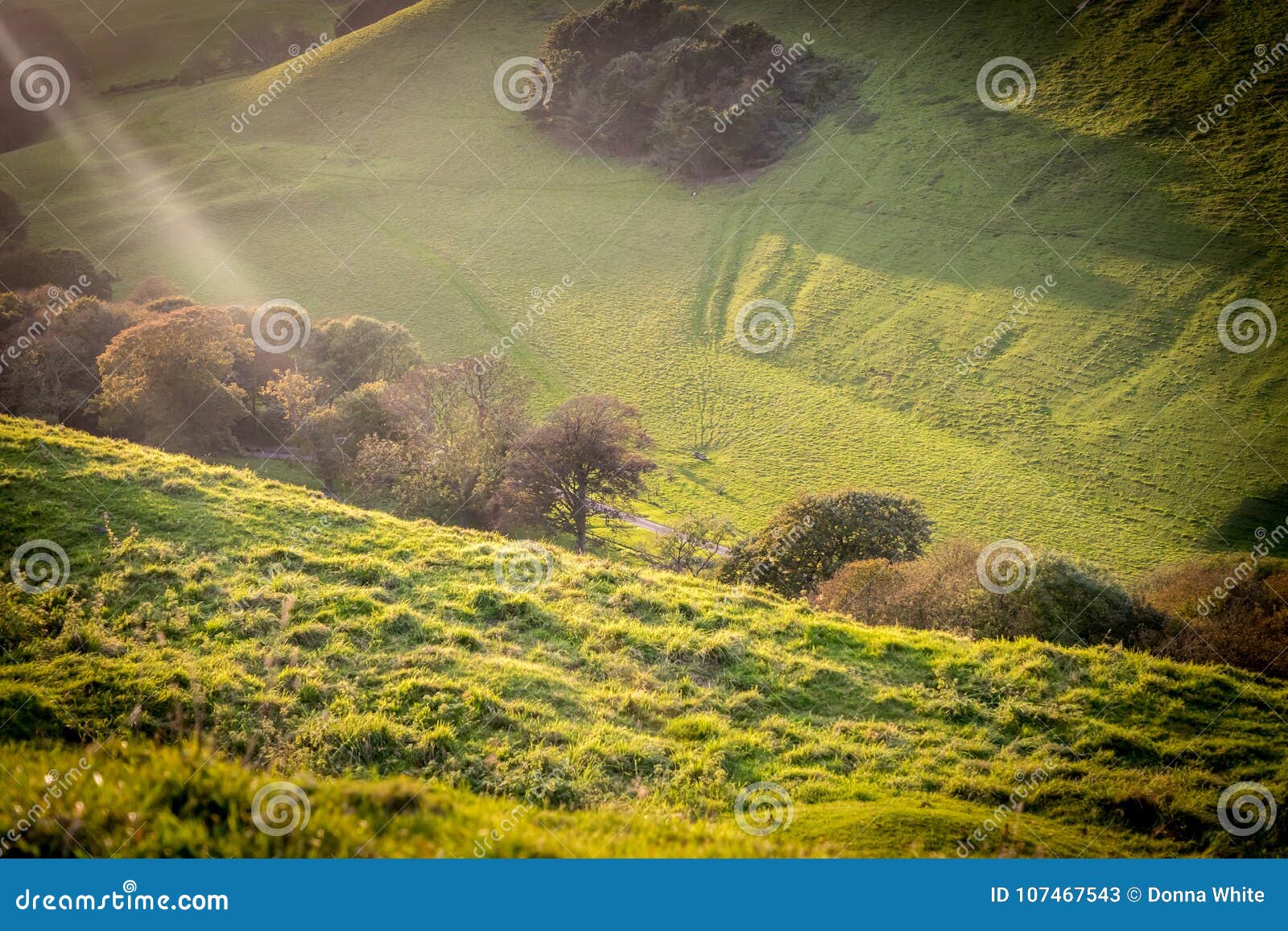 Sun Rays Over Fields at Sunset Stock Image - Image of green, hedge ...