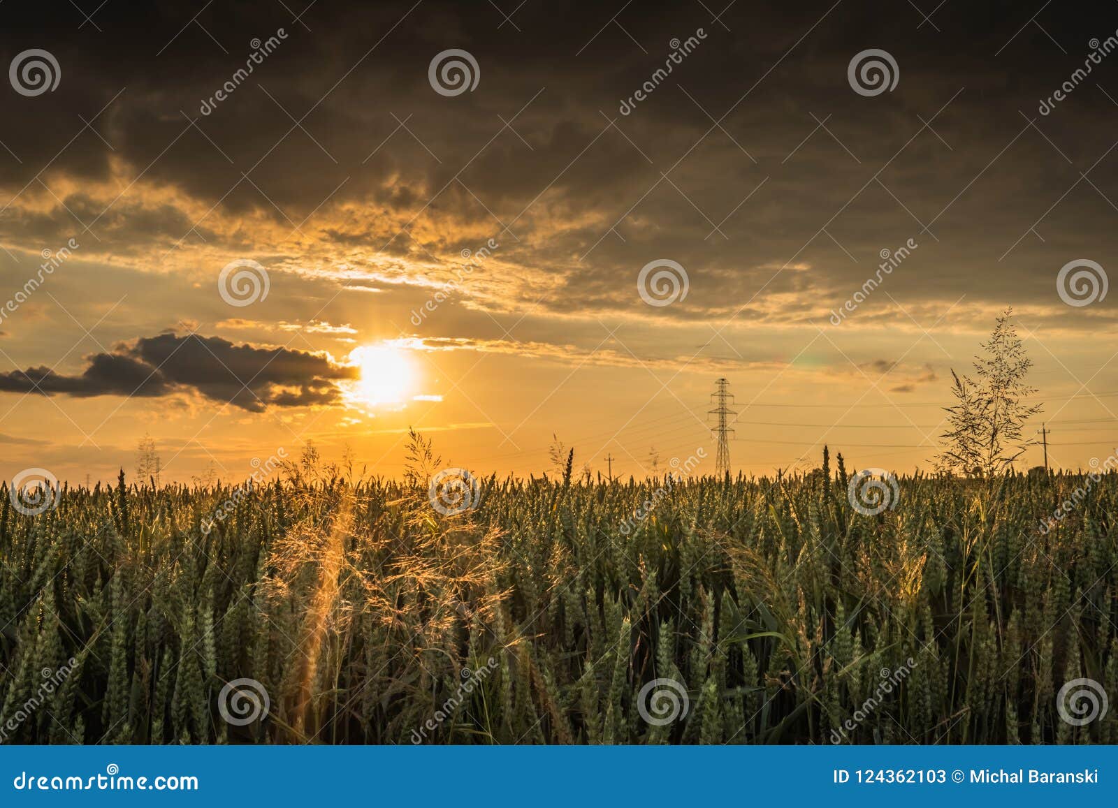 Sun rays over field stock image. Image of beam, evening - 124362103