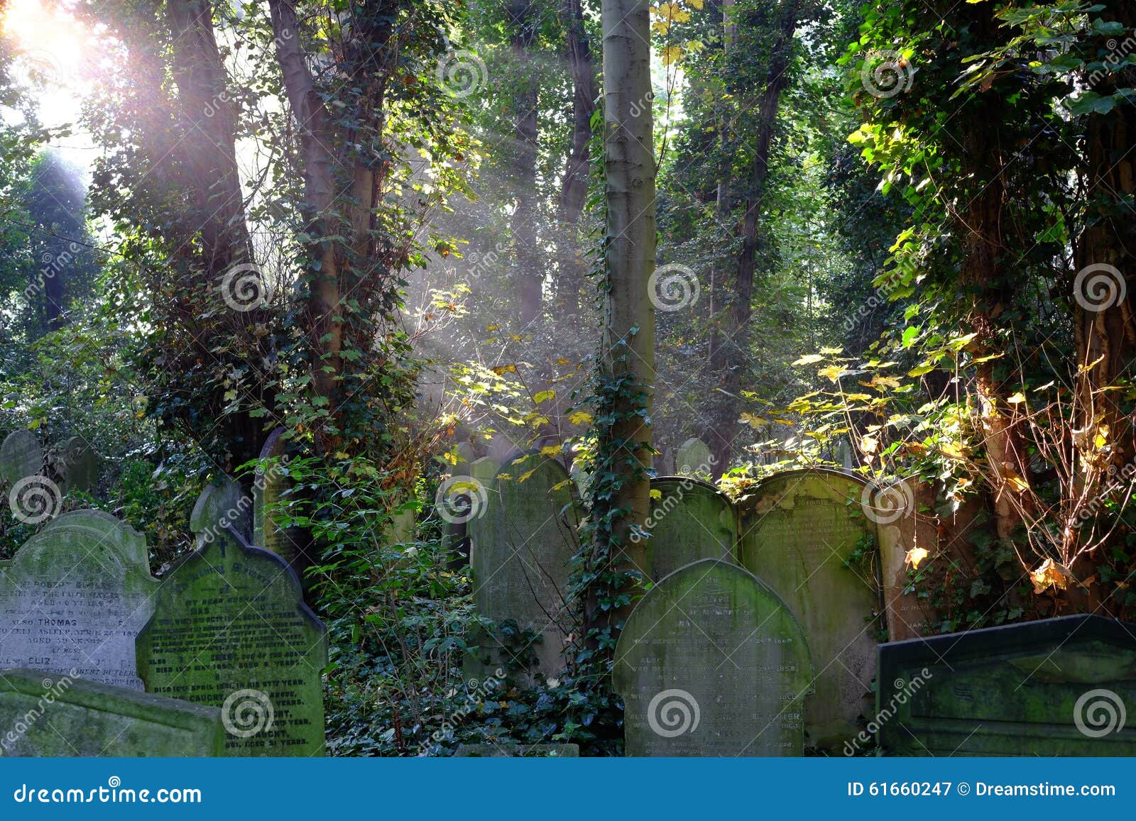 Sun Rays On Overgrown Graves In Cemetery Stock Photo | CartoonDealer ...