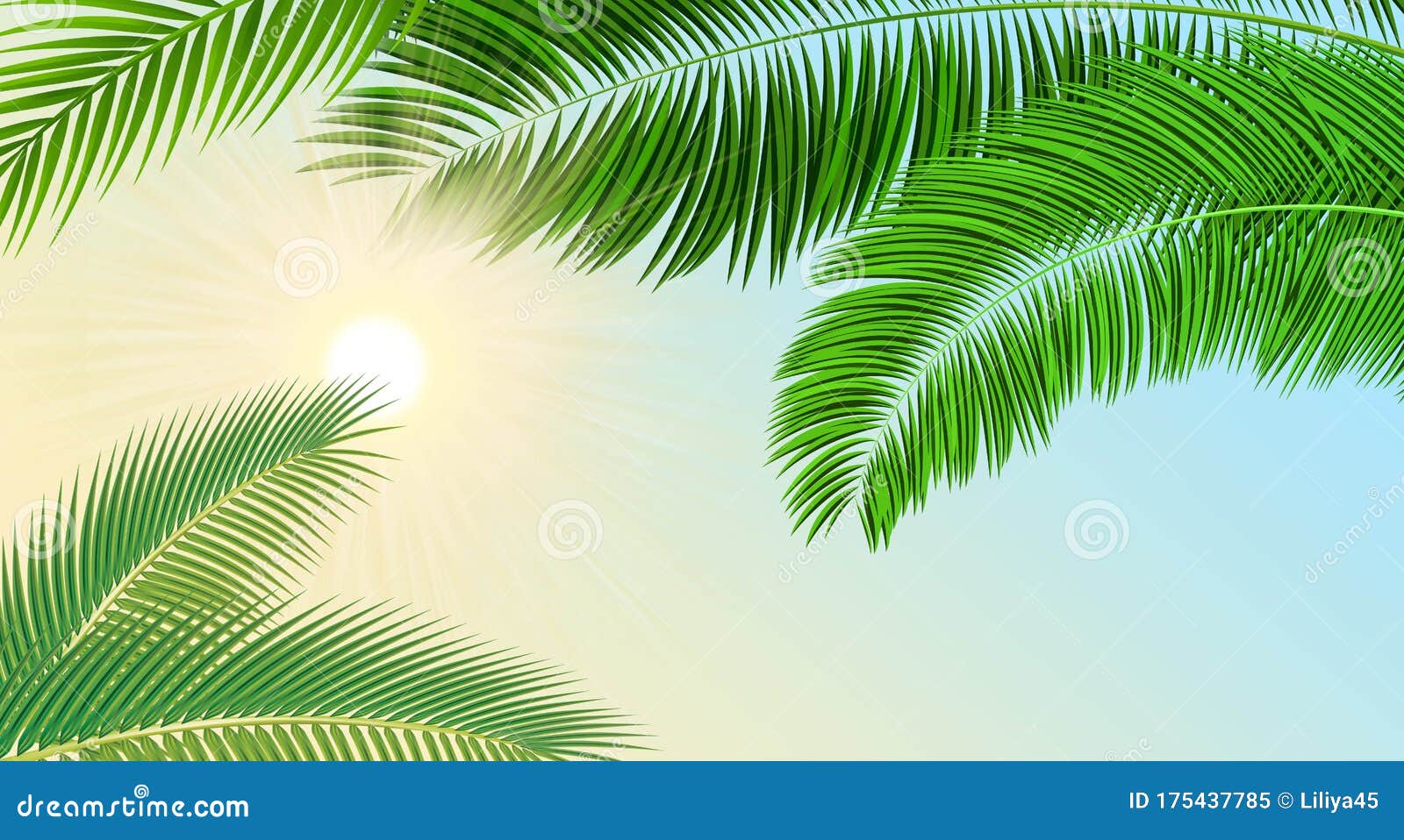 Sun Rays through the Palm Trees. Stock Illustration - Illustration of ...
