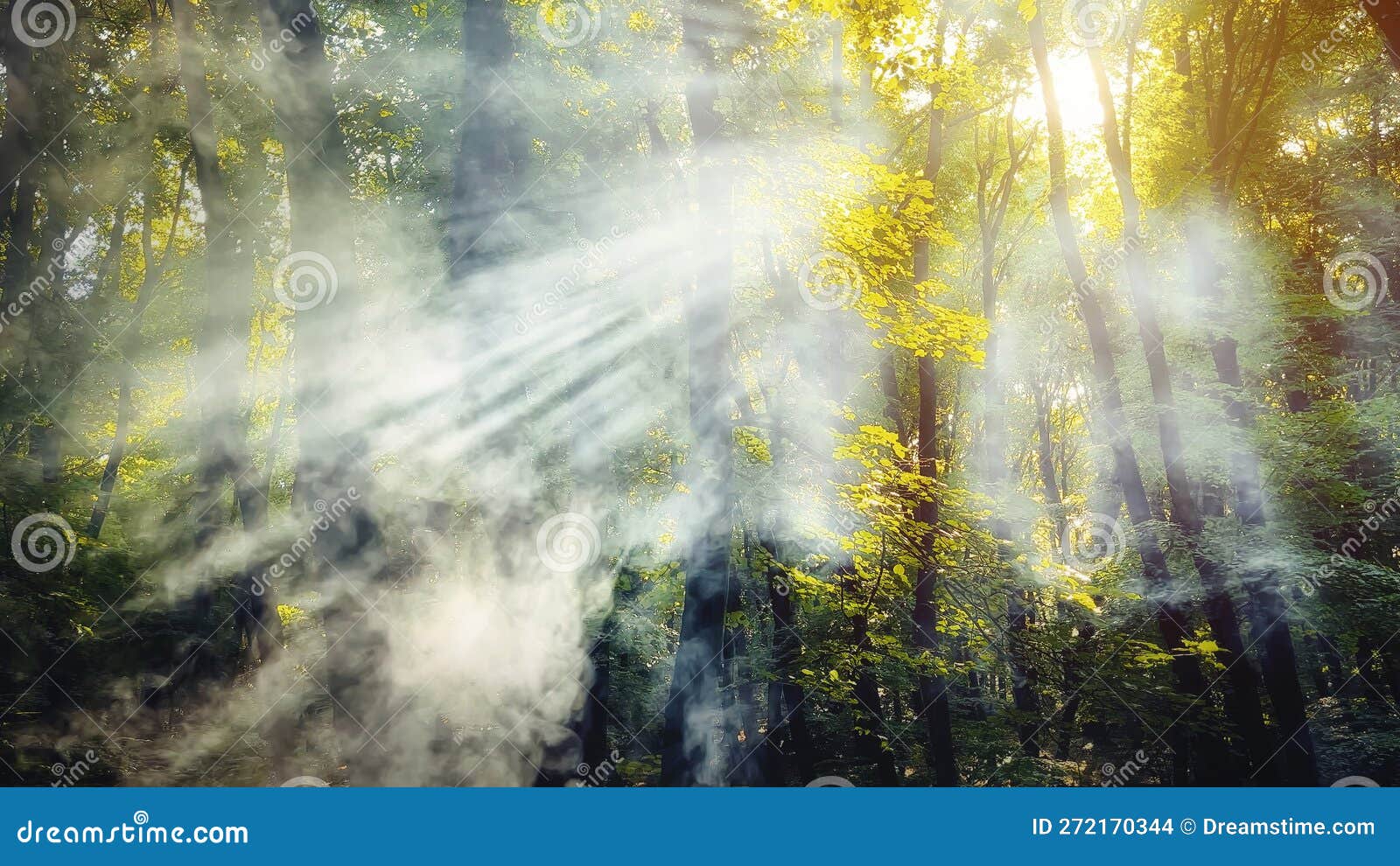 Sun Rays Passing through the Smoke through the Forest. Stock Photo ...