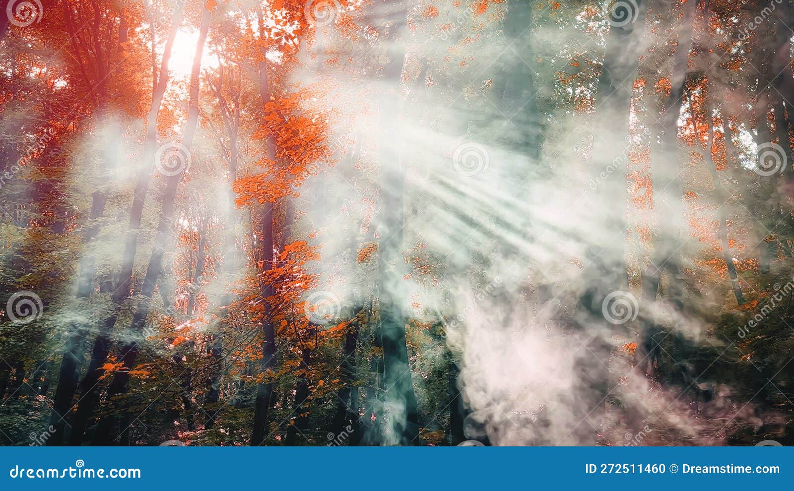 Sun Rays Passing through the Smoke through the Forest. Stock Photo ...
