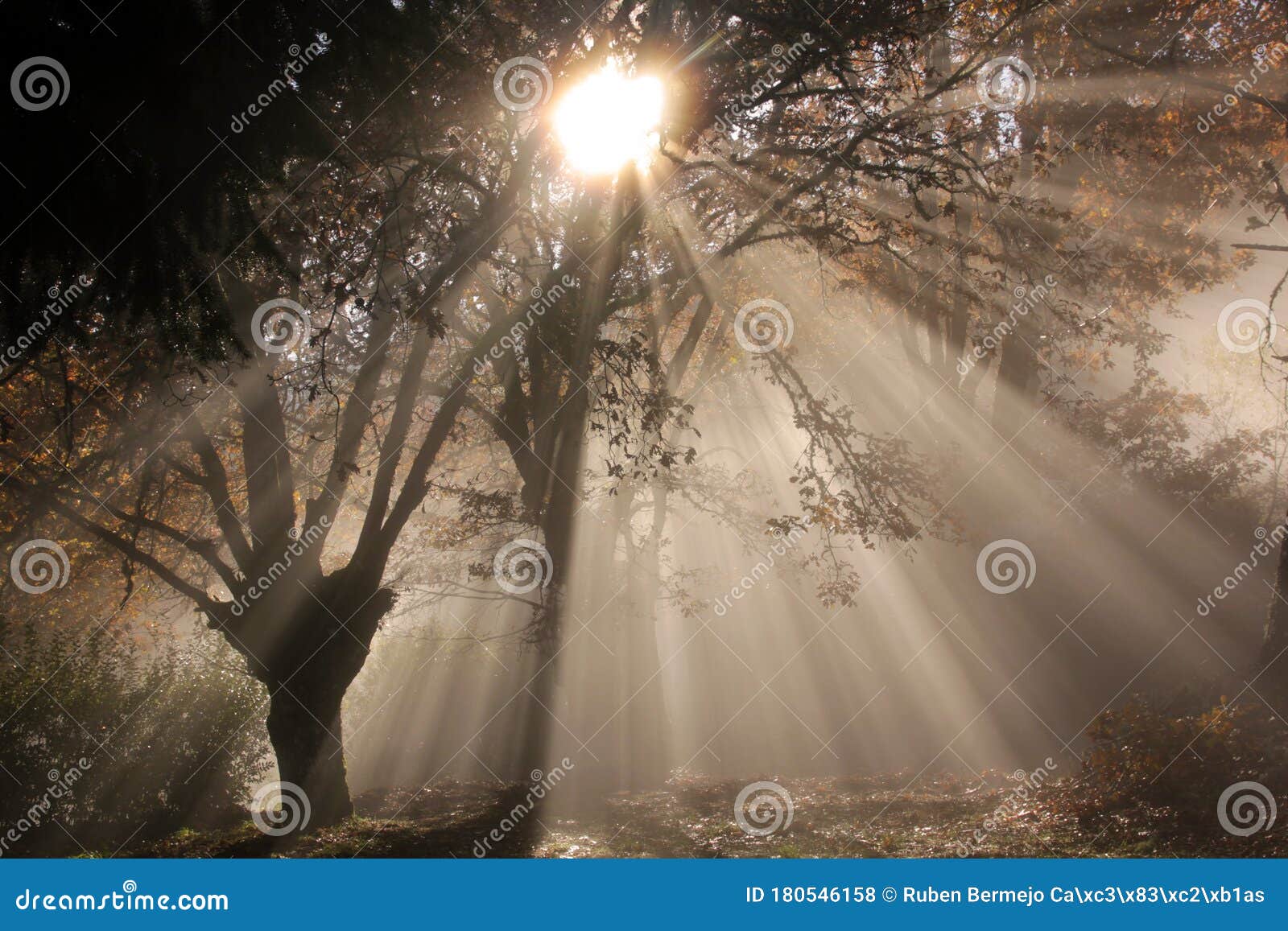 Sun Rays Penetrating Through The Interesting Shapes Of The Caves, Rocks ...