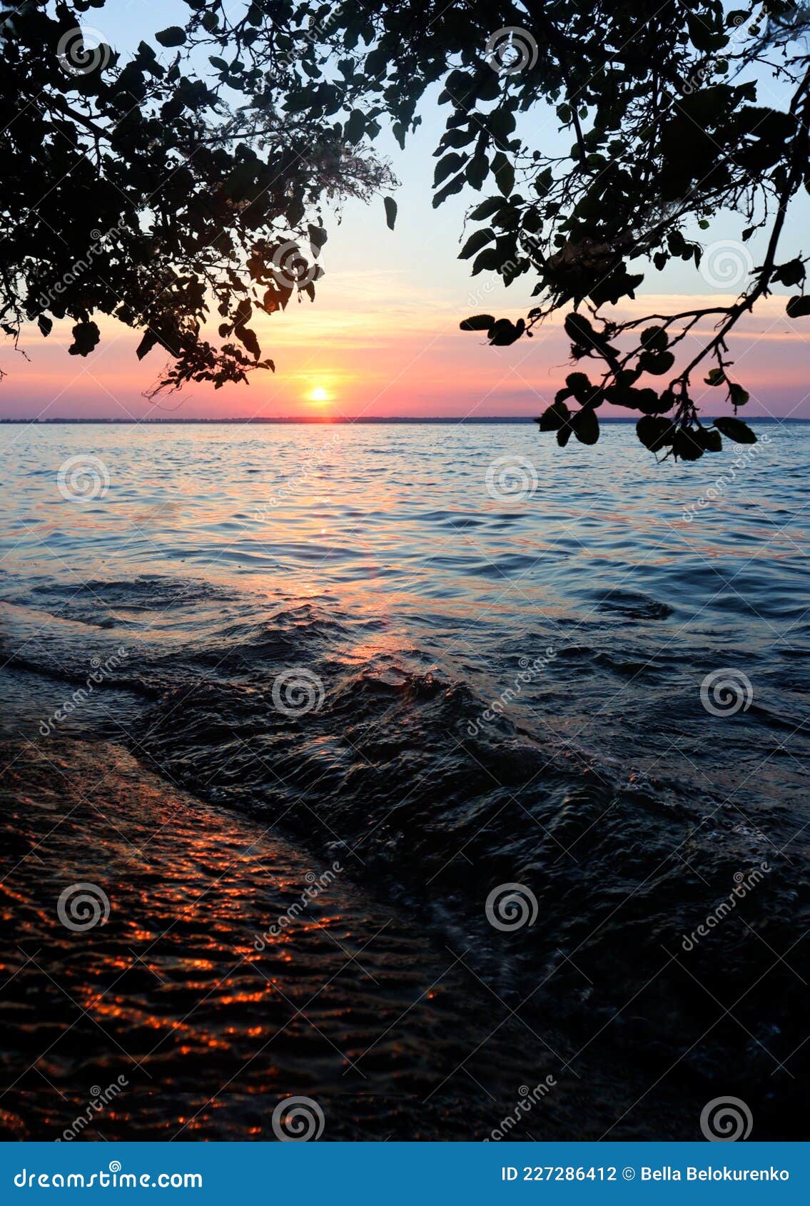 Sun Rays Reflected in the Water Stock Photo - Image of sunlight, dusk ...