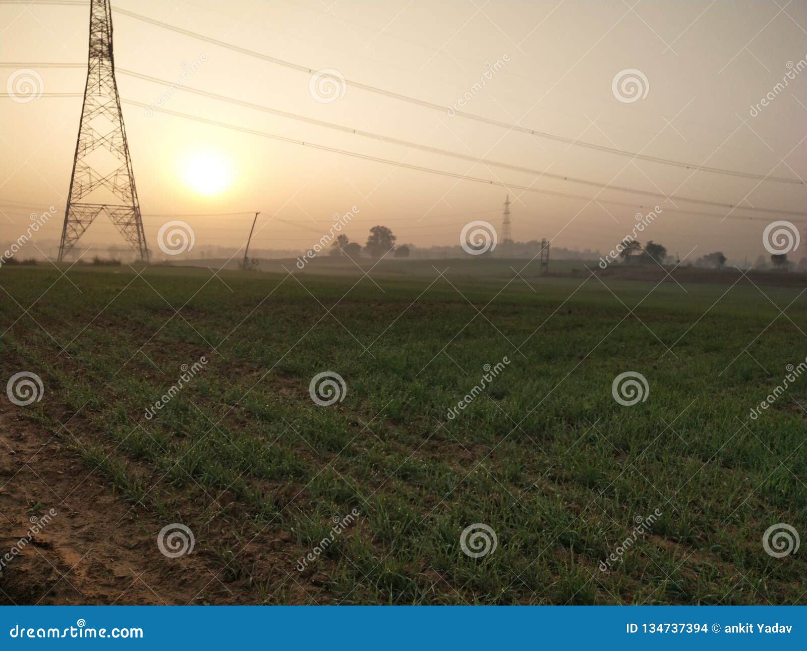 Sun rays stock photo. Image of morning, rising, rays - 134737394
