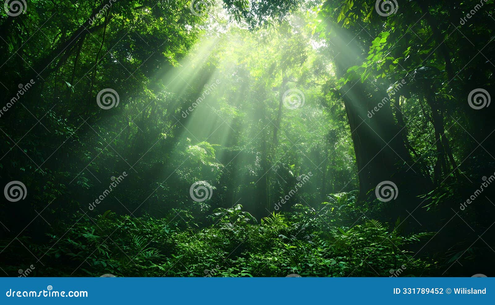 Sun Rays Shining through Dense Rainforest Foliage. a Jurassic Park ...