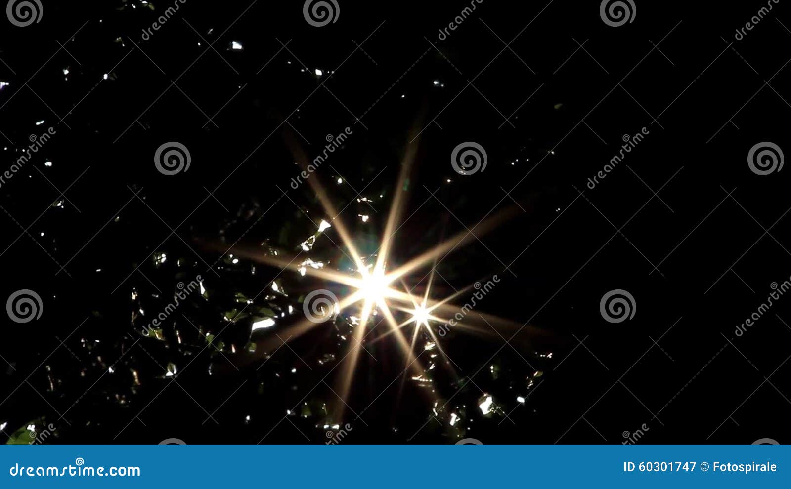 Sun Rays Sparkle through the LeavesÂ at a Tree Stock Video - Video of ...