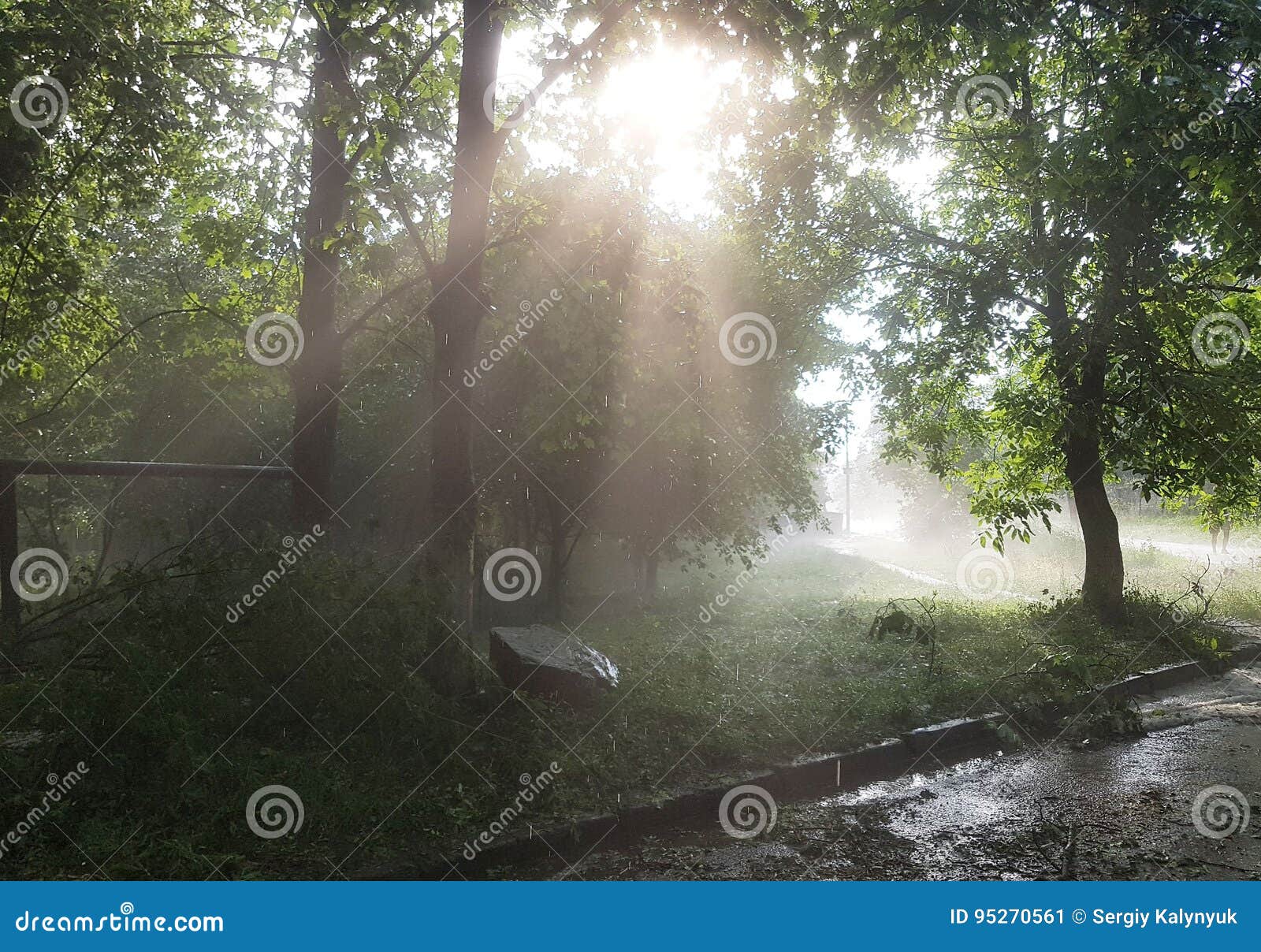Sun rays after the storm stock image. Image of view, summer - 95270561