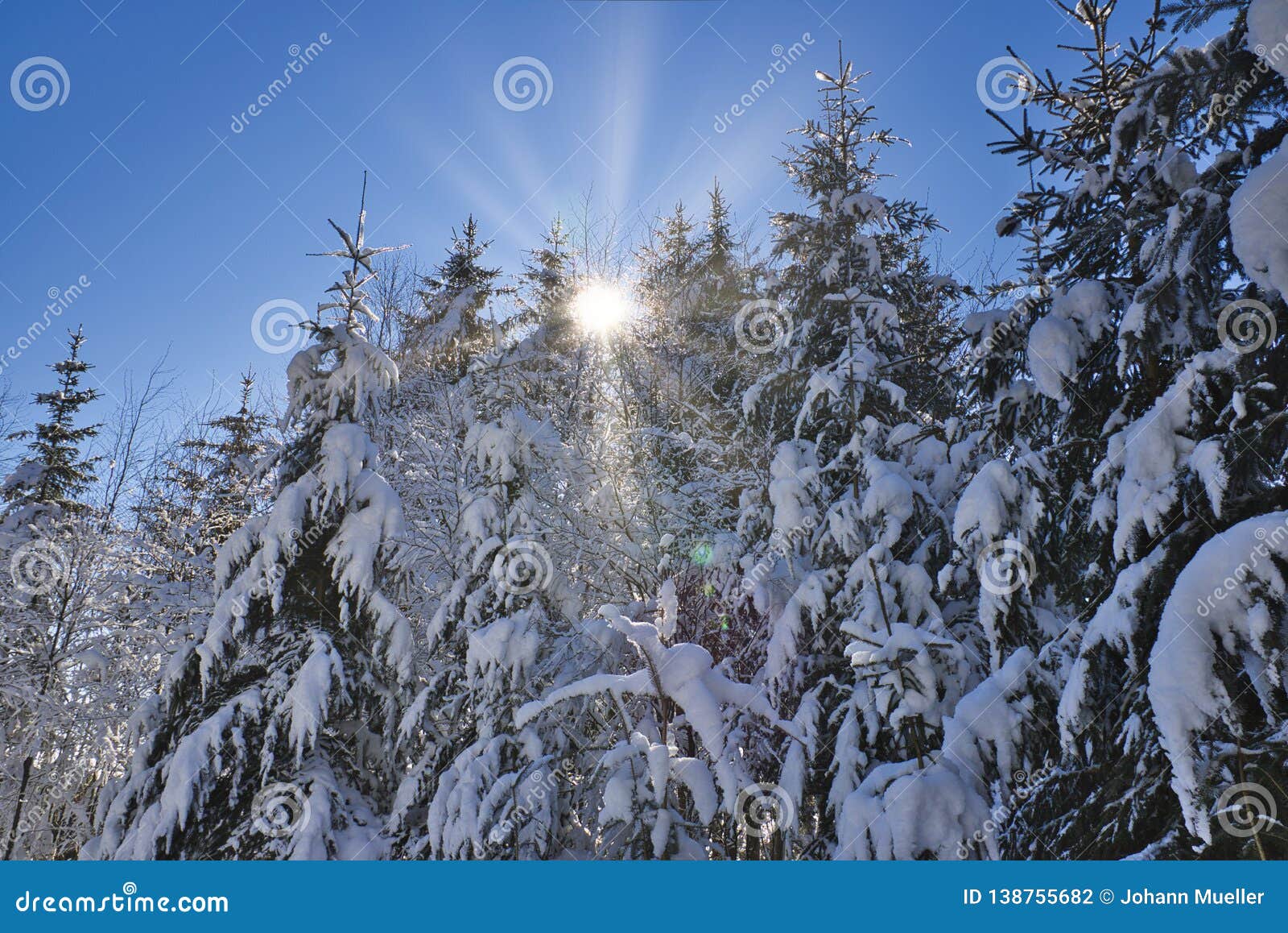 Sun rays in winter forest stock photo. Image of sunset - 138755682