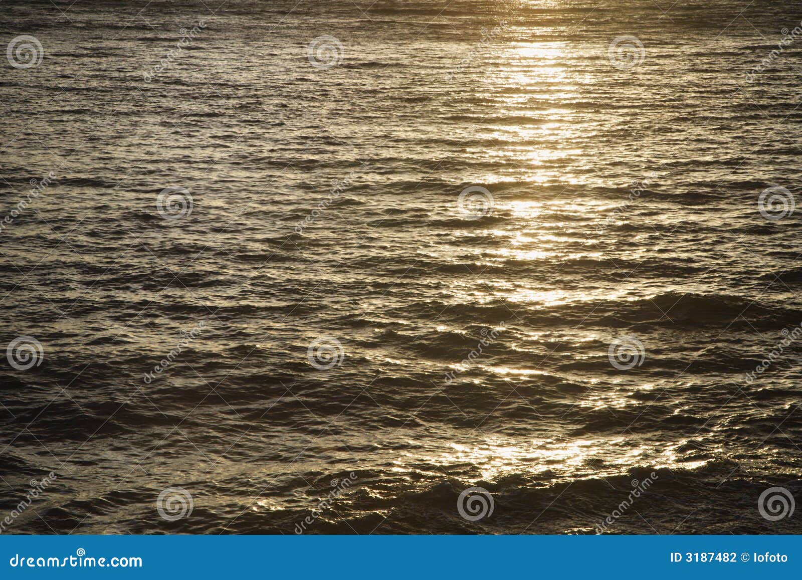 Sun reflected on water. stock photo. Image of pacific - 3187482