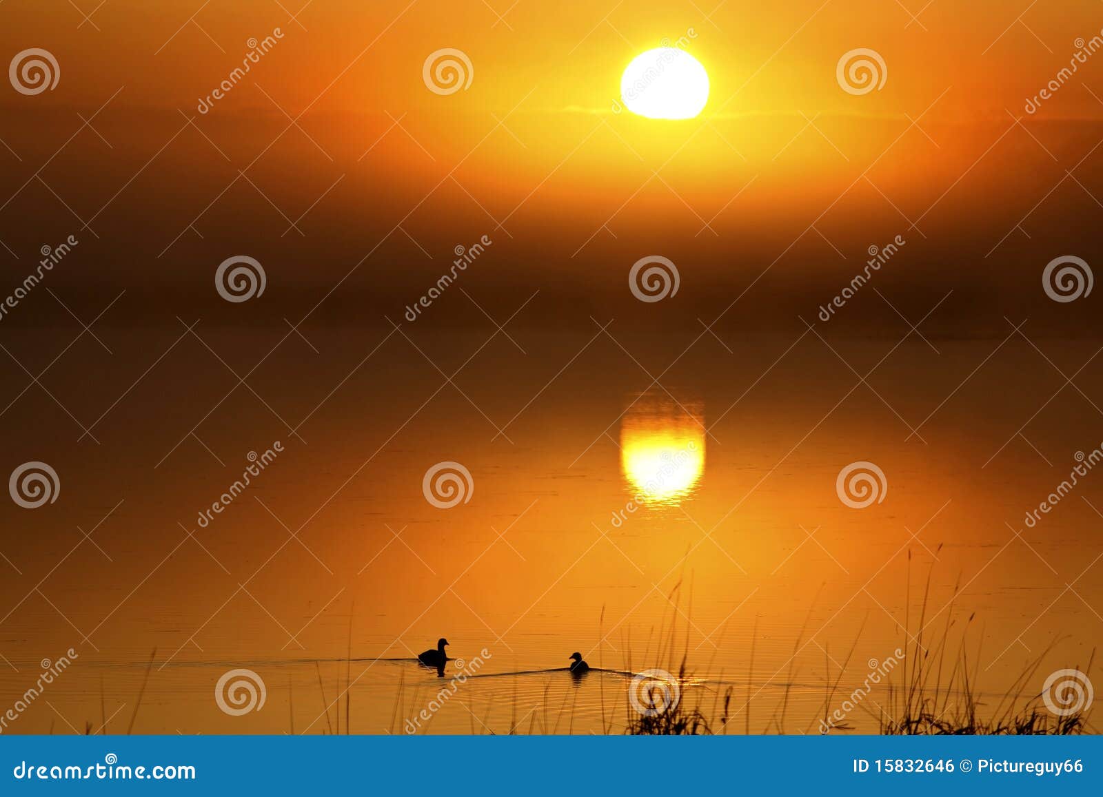 Sun reflecting stock photo. Image of canada, saskatchewan - 15832646